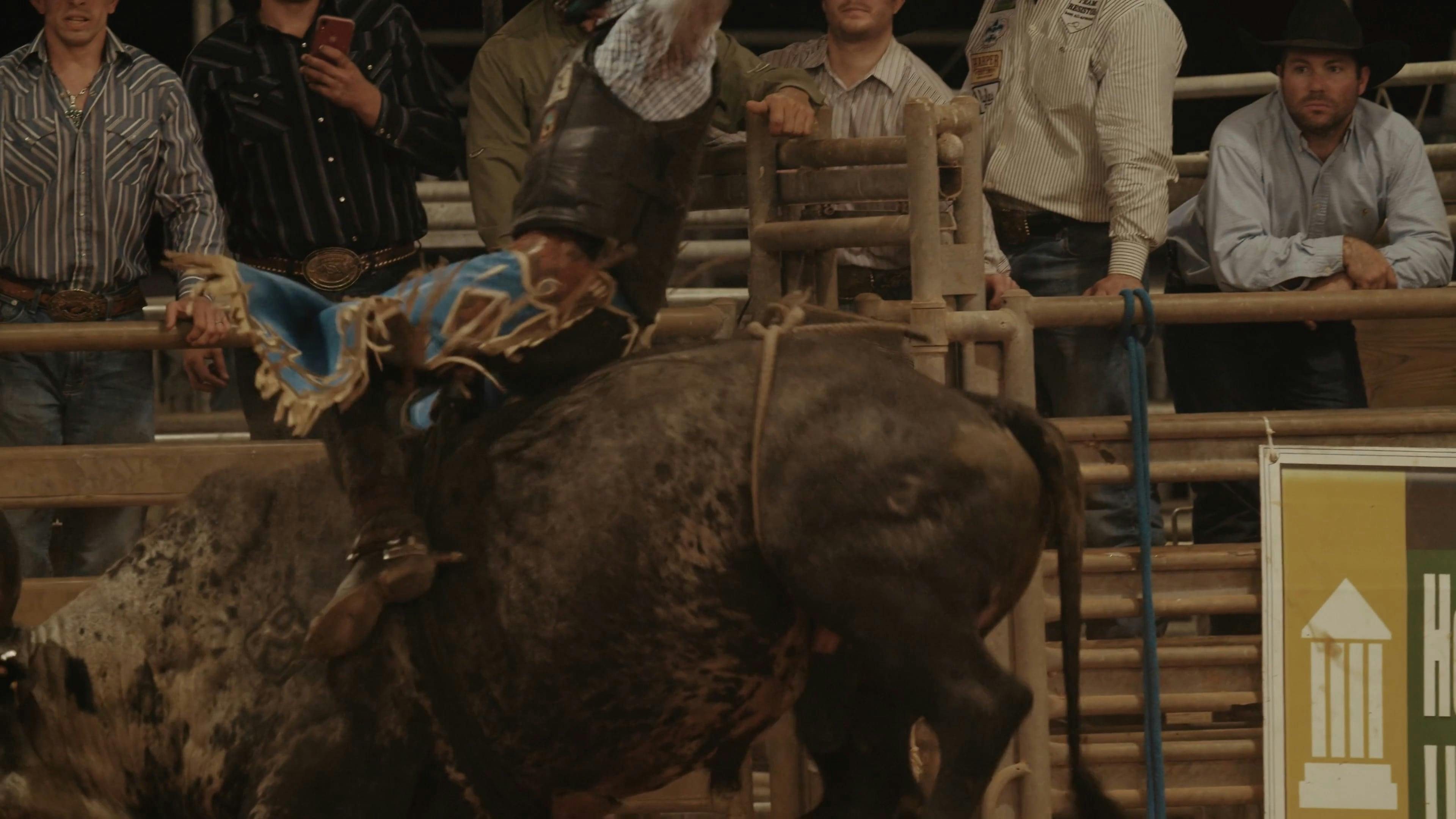 Person Riding Bull Free Stock Video Footage, Royalty-Free 4K & HD Video ...