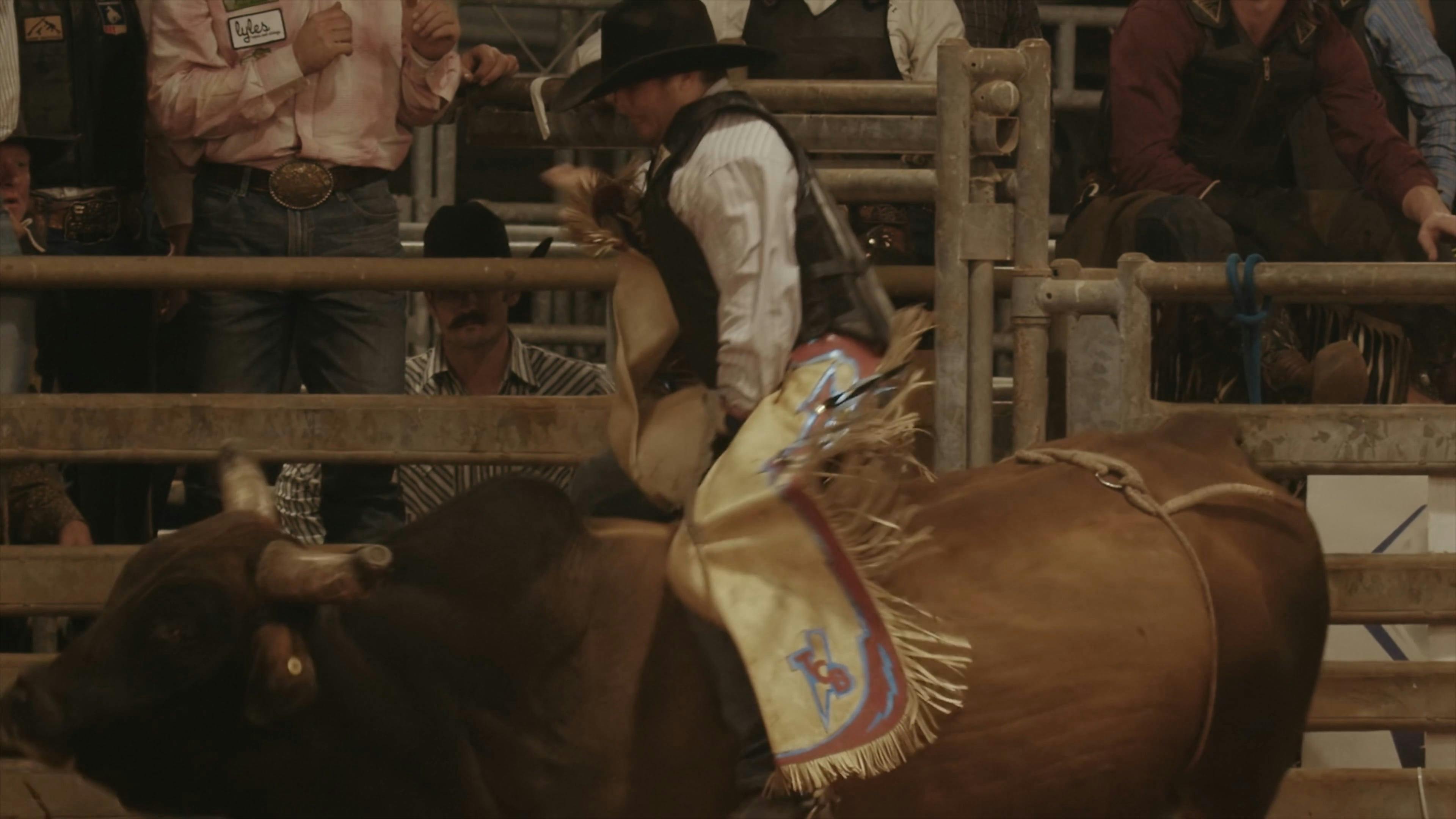 Professional Rodeo Cowboys Association Videos, Download The BEST Free ...