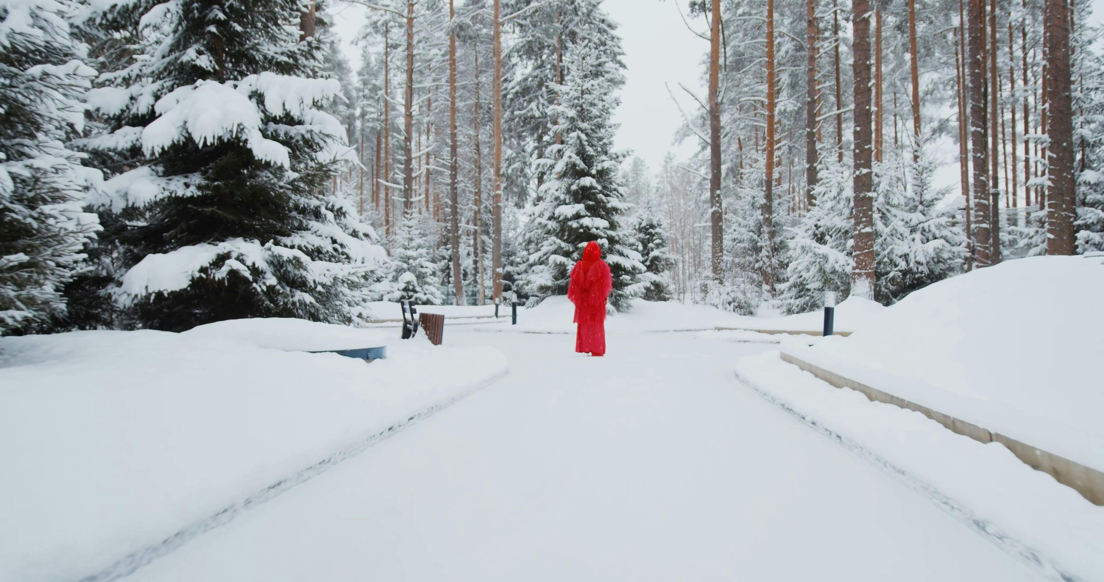 Person Wearing Red in the Snow Free Stock Video Footage, Royalty-Free ...