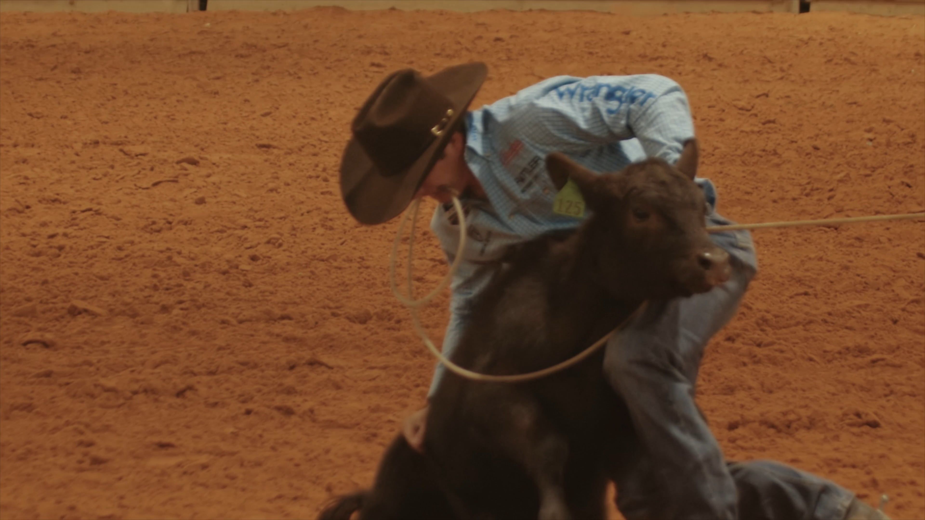 Cowboy Roping Videos, Download The BEST Free 4k Stock Video Footage ...