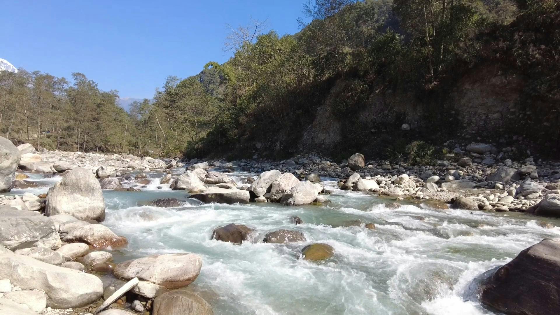 A Clean Stream of Water Flowing Down the River Free Stock Video Footage ...