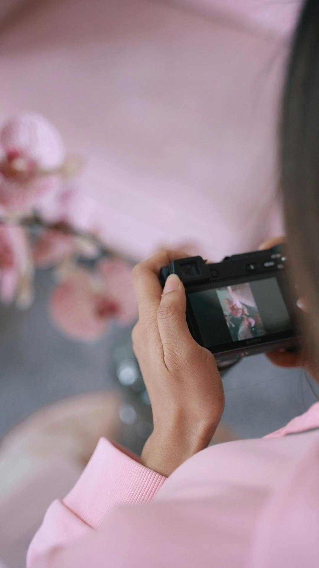 Flowers Dslr Background Videos, Download The BEST Free 4k Stock Video ...