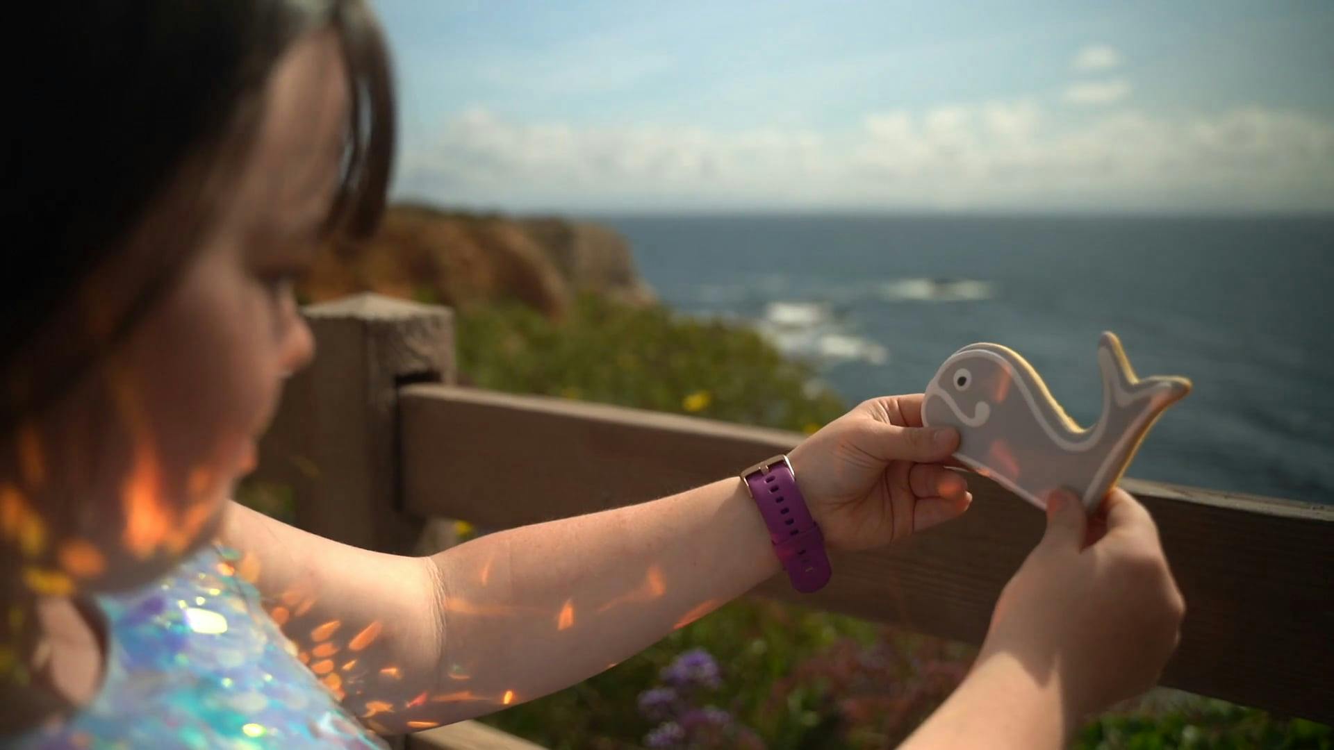 Animated Special Operations Videos, Download The BEST Free 4k Stock ...