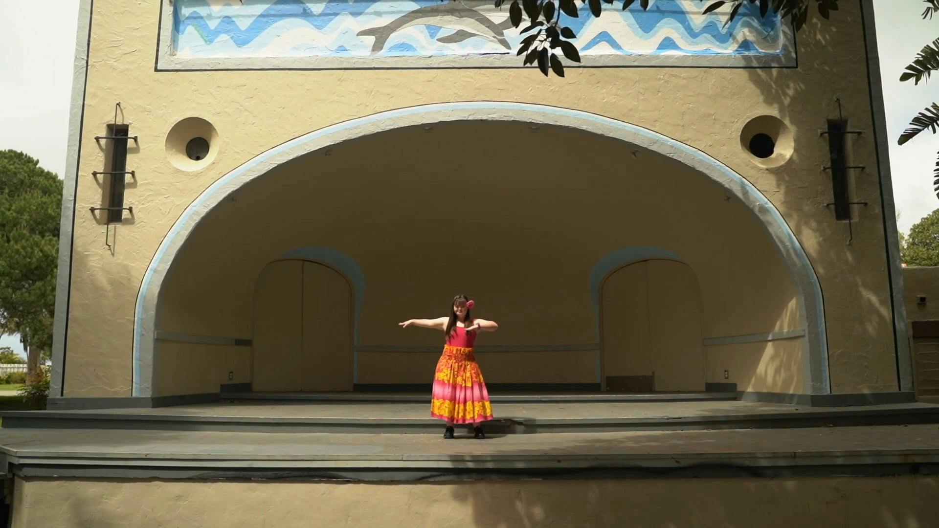 Hula Tree Videos, Download The BEST Free 4k Stock Video Footage & Hula ...