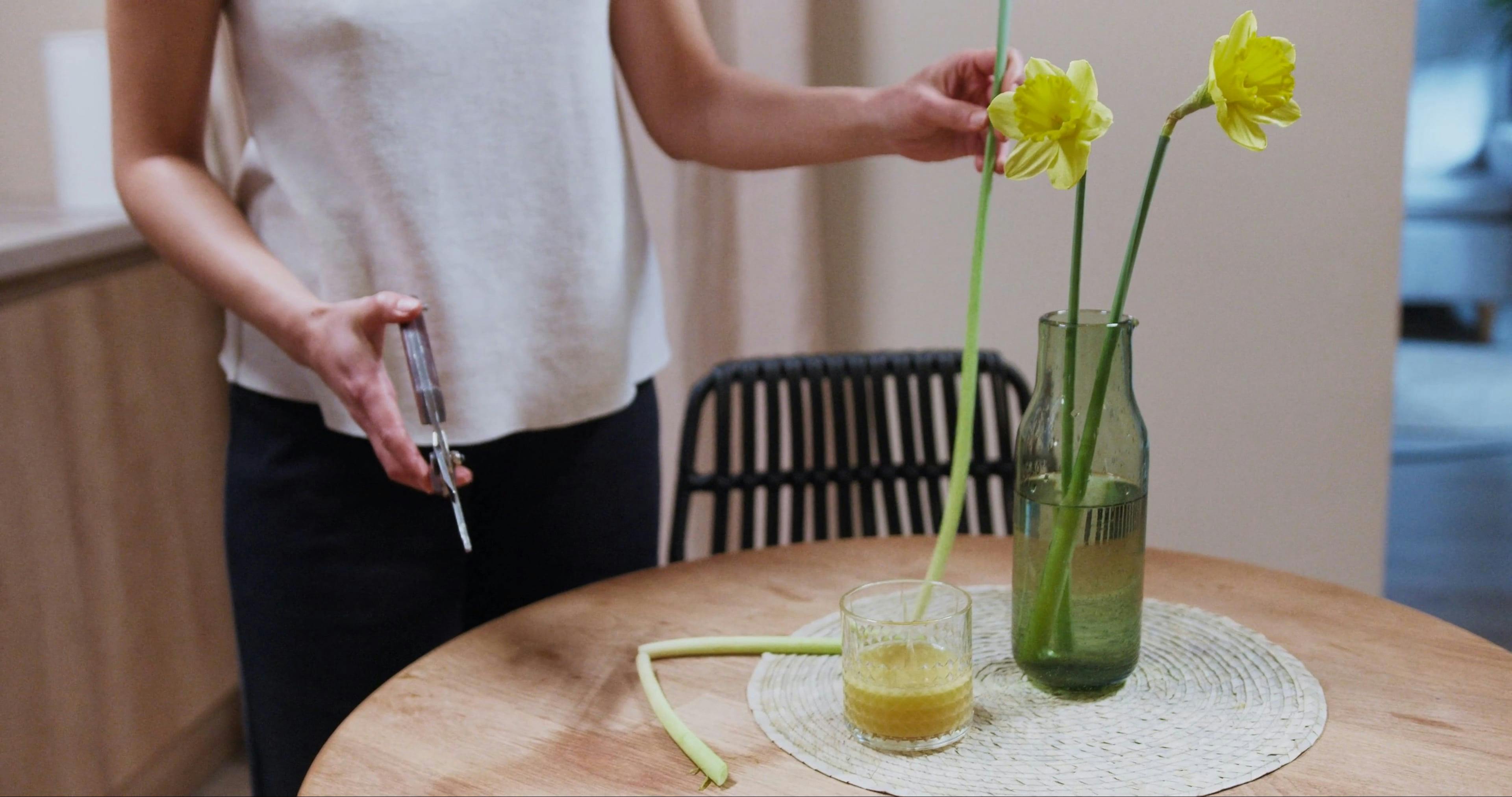 Vídeos de stock gratuitos sobre actividad en el hogar, adentro, afición ...