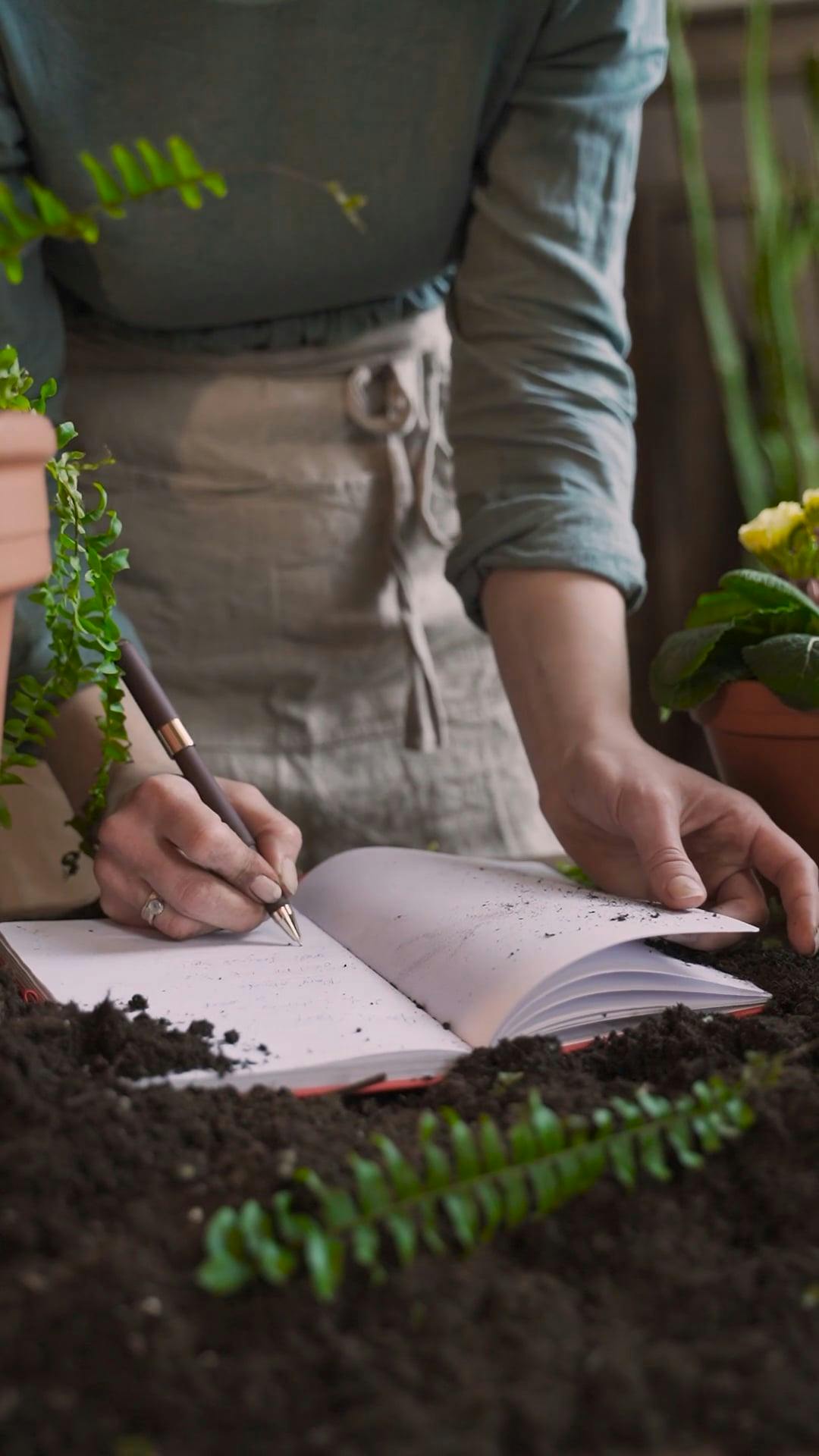 Garden Journal Videos, Download The BEST Free 4k Stock Video Footage ...