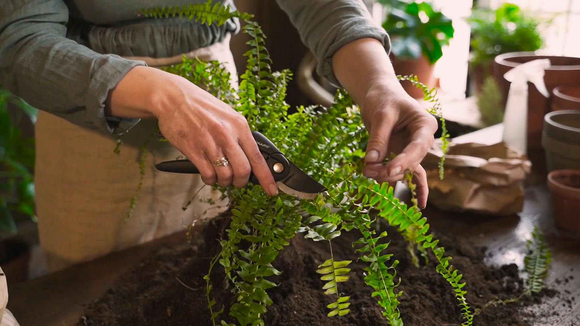 Gardening Interest Videos, Download The BEST Free 4k Stock Video ...