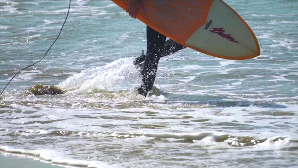 28,528+ Best Free Beach activity 4K Stock Video Footage & Royalty-Free ...