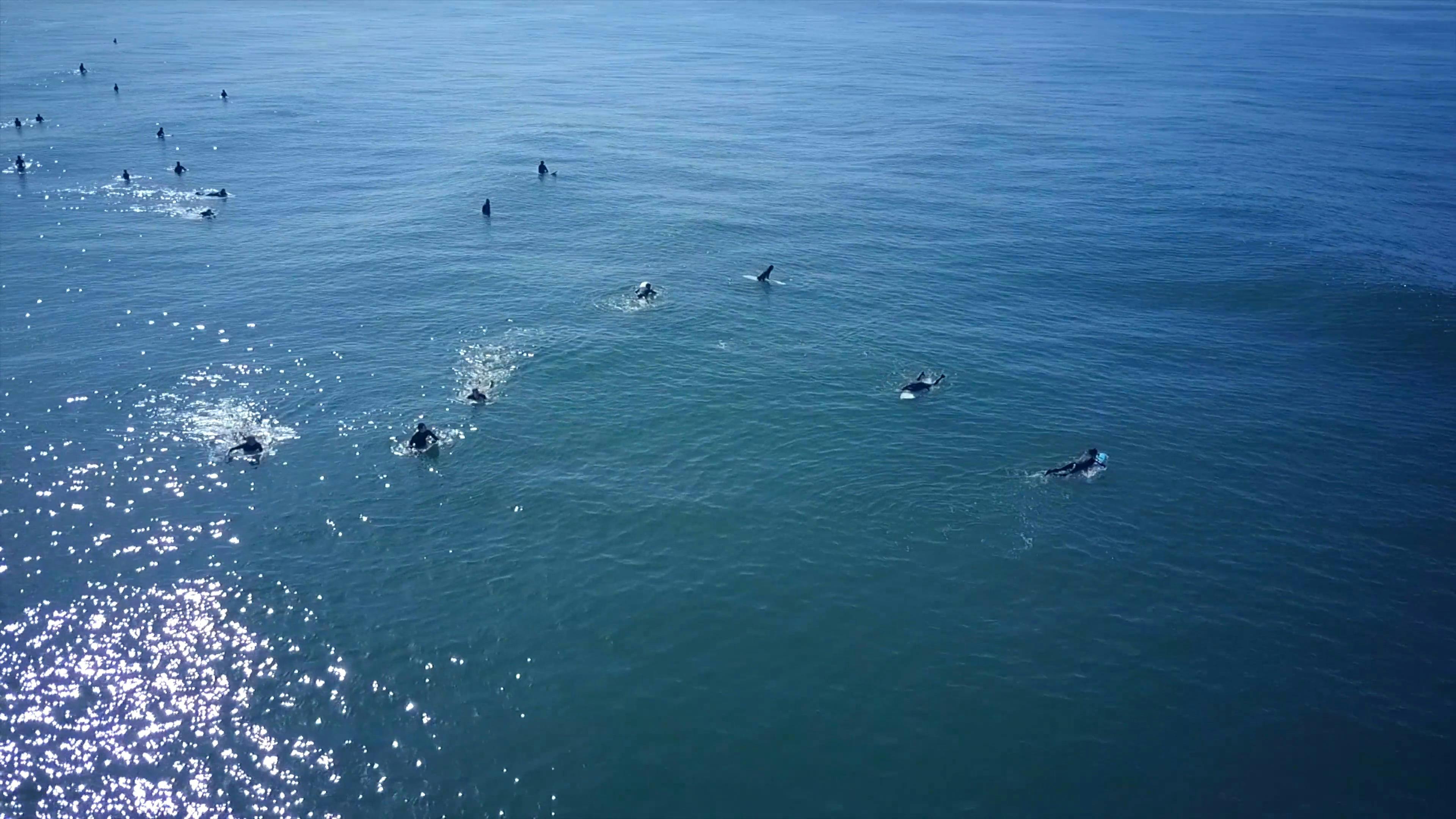 High Angle Shot of People Surfing in the Ocean · Free Stock Video