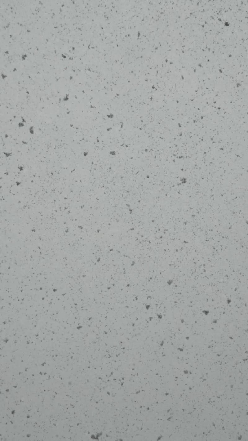 Nostalgic Videos, Download The BEST Free 4k Stock Video Footage ...