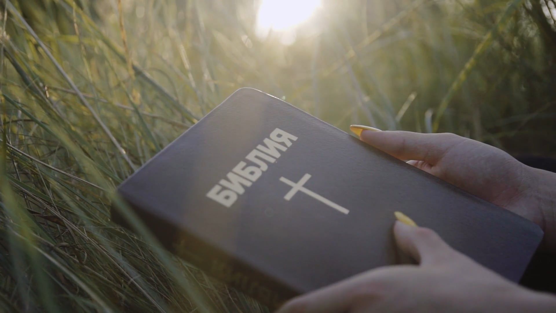 A Person Reading the Bible Free Stock Video Footage, Royalty-Free 4K ...