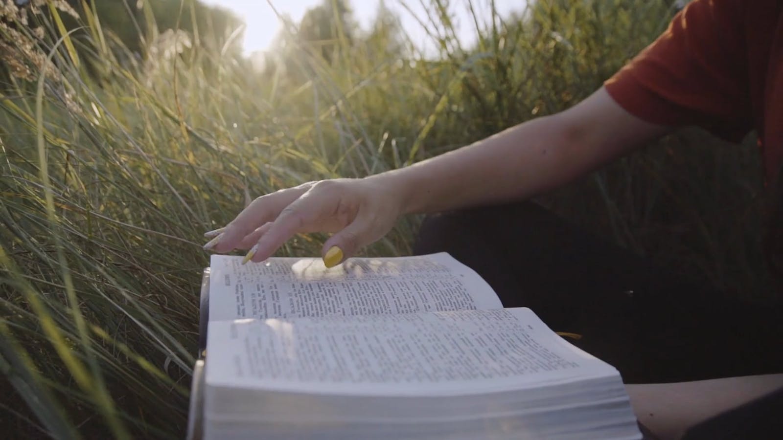 Bible Reading Videos, Download The BEST Free 4k Stock Video Footage ...