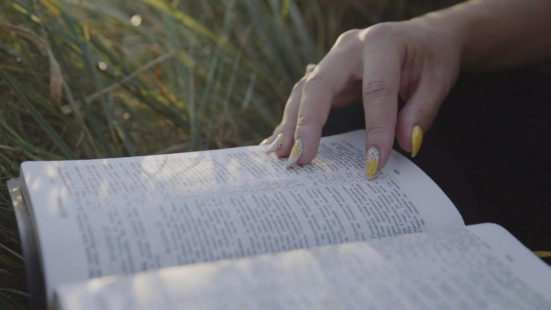 Person Reading a Bible Free Stock Video Footage, Royalty-Free 4K & HD ...