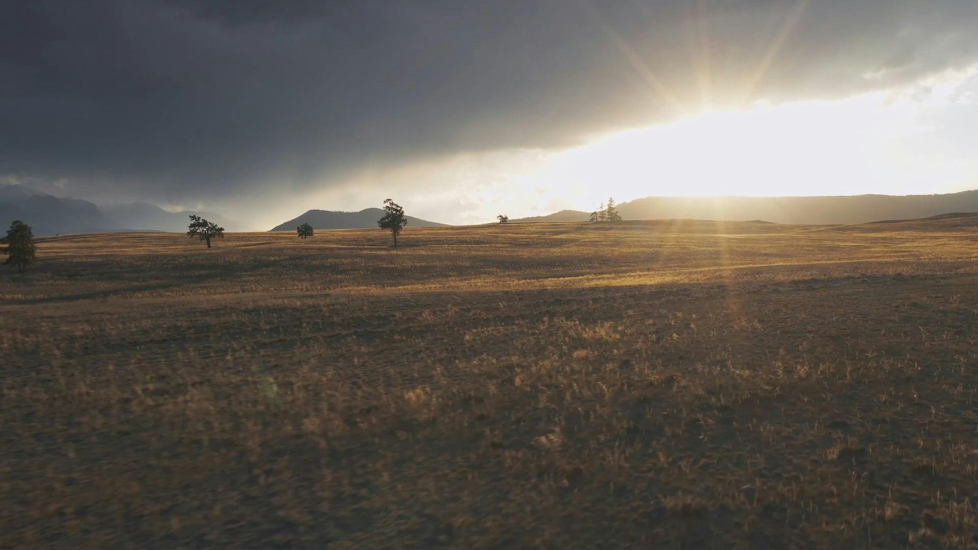 A Drone Footage of a Field · Free Stock Video