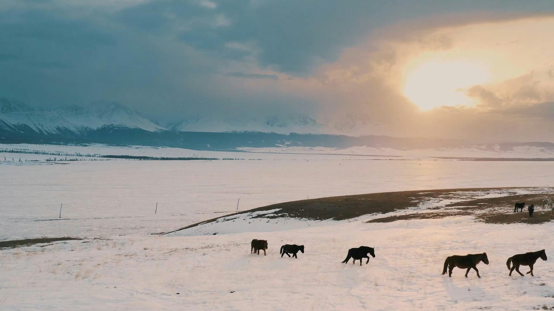 Freezing Landscape Videos, Download The BEST Free 4k Stock Video ...