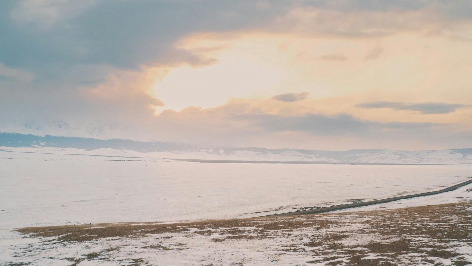 Raw Animals Videos, Download The BEST Free 4k Stock Video Footage & Raw ...