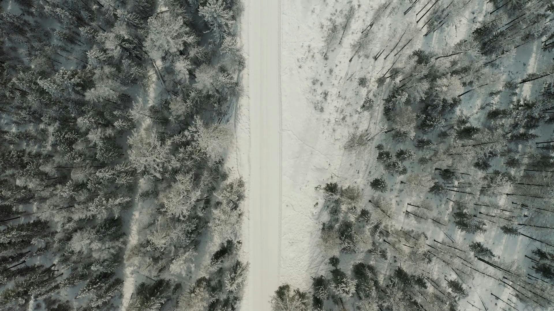 Aerial View Of Forest With Snow · Free Stock Video