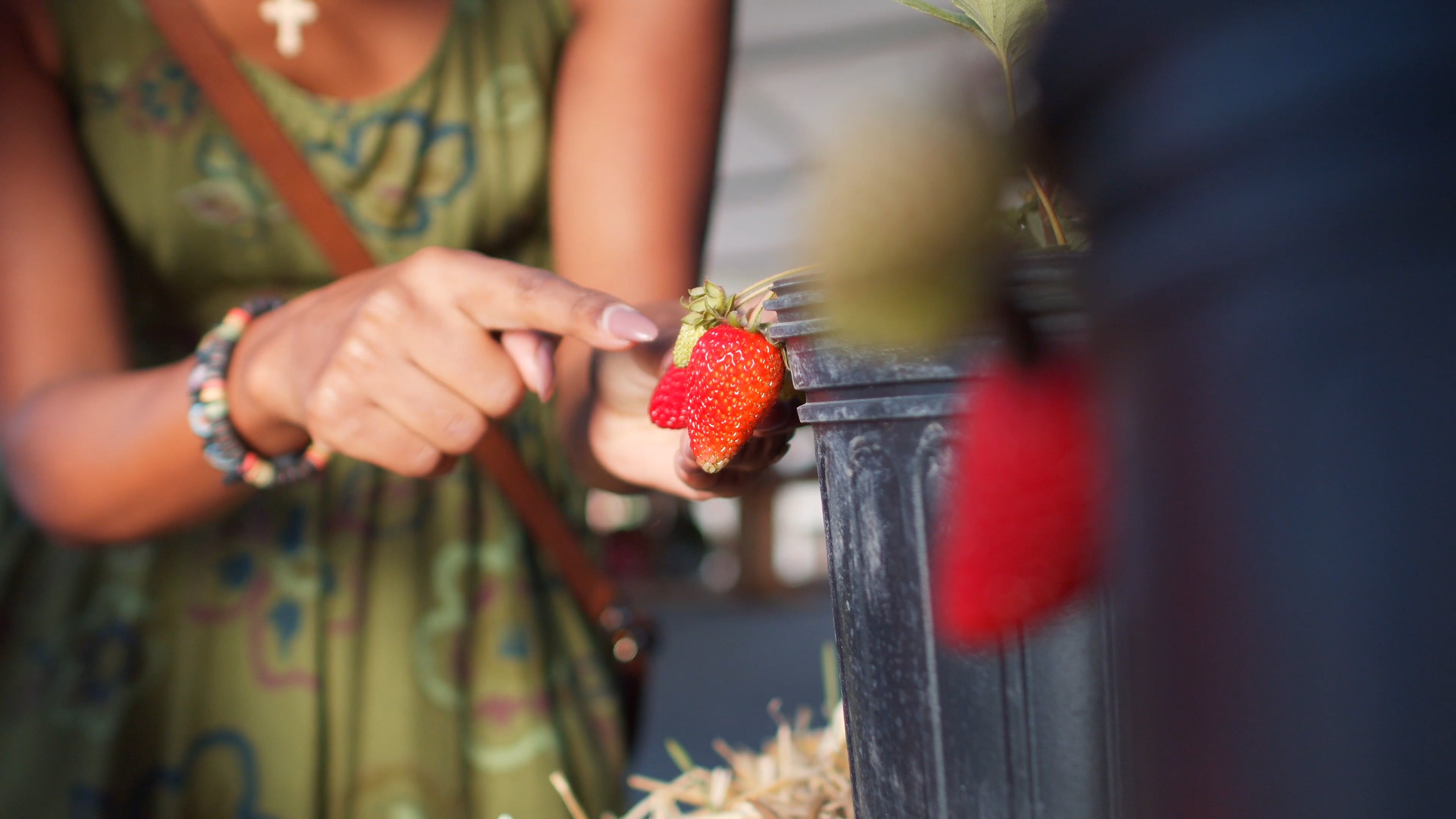 People Touching Strawberries Free Stock Video Footage, Royalty-Free 4K ...