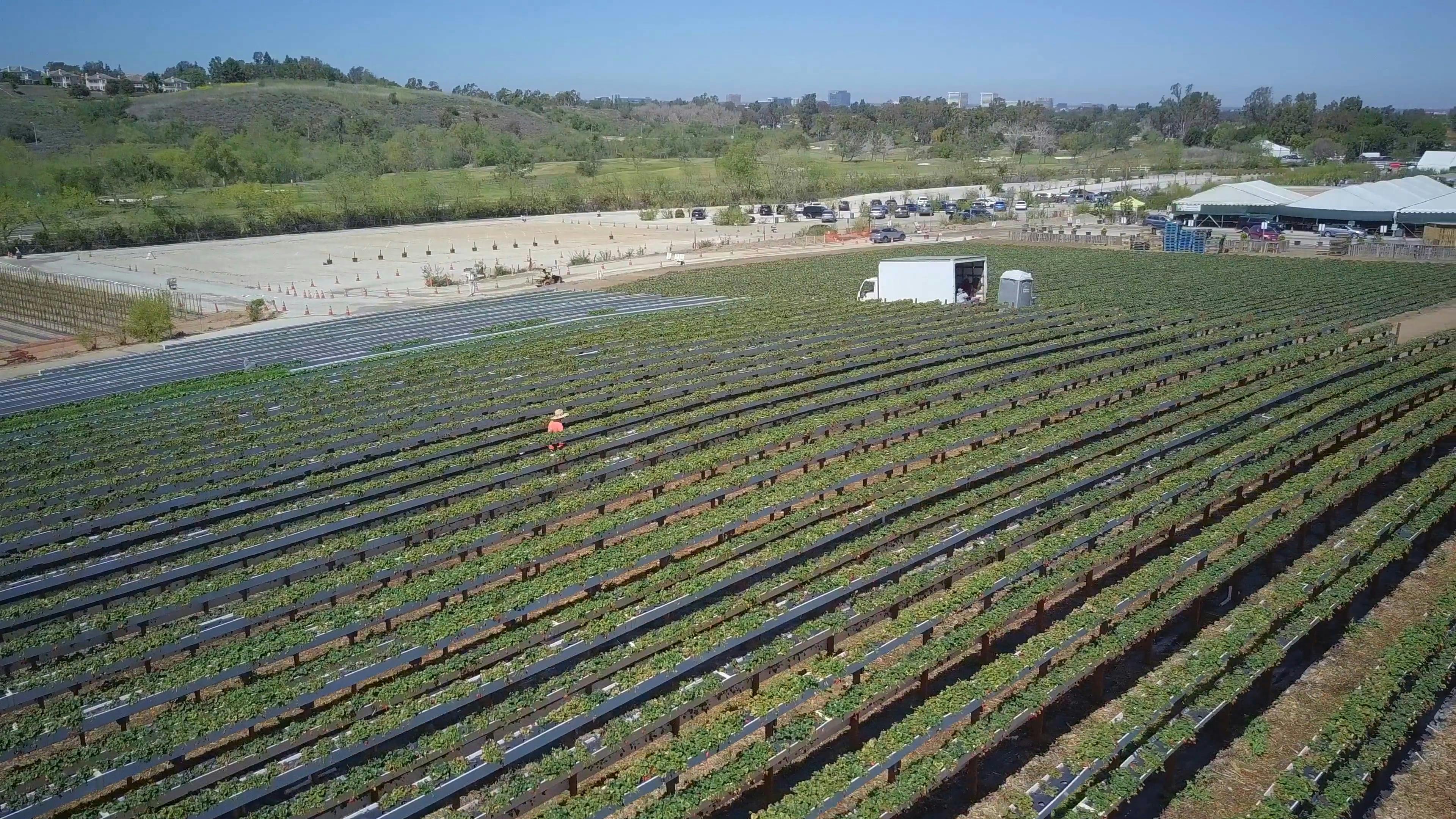 Aerial View of Lush Green Farm Landscape Free Stock Video Footage ...