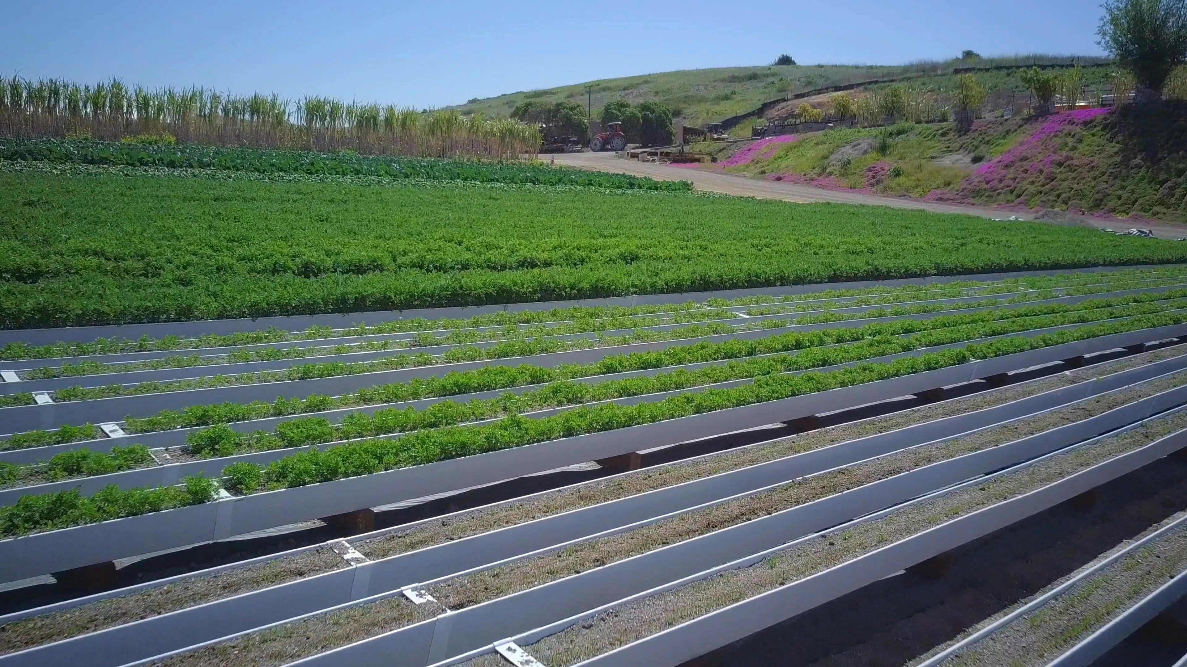 4k Plots Videos, Download The BEST Free 4k Stock Video Footage & 4k ...