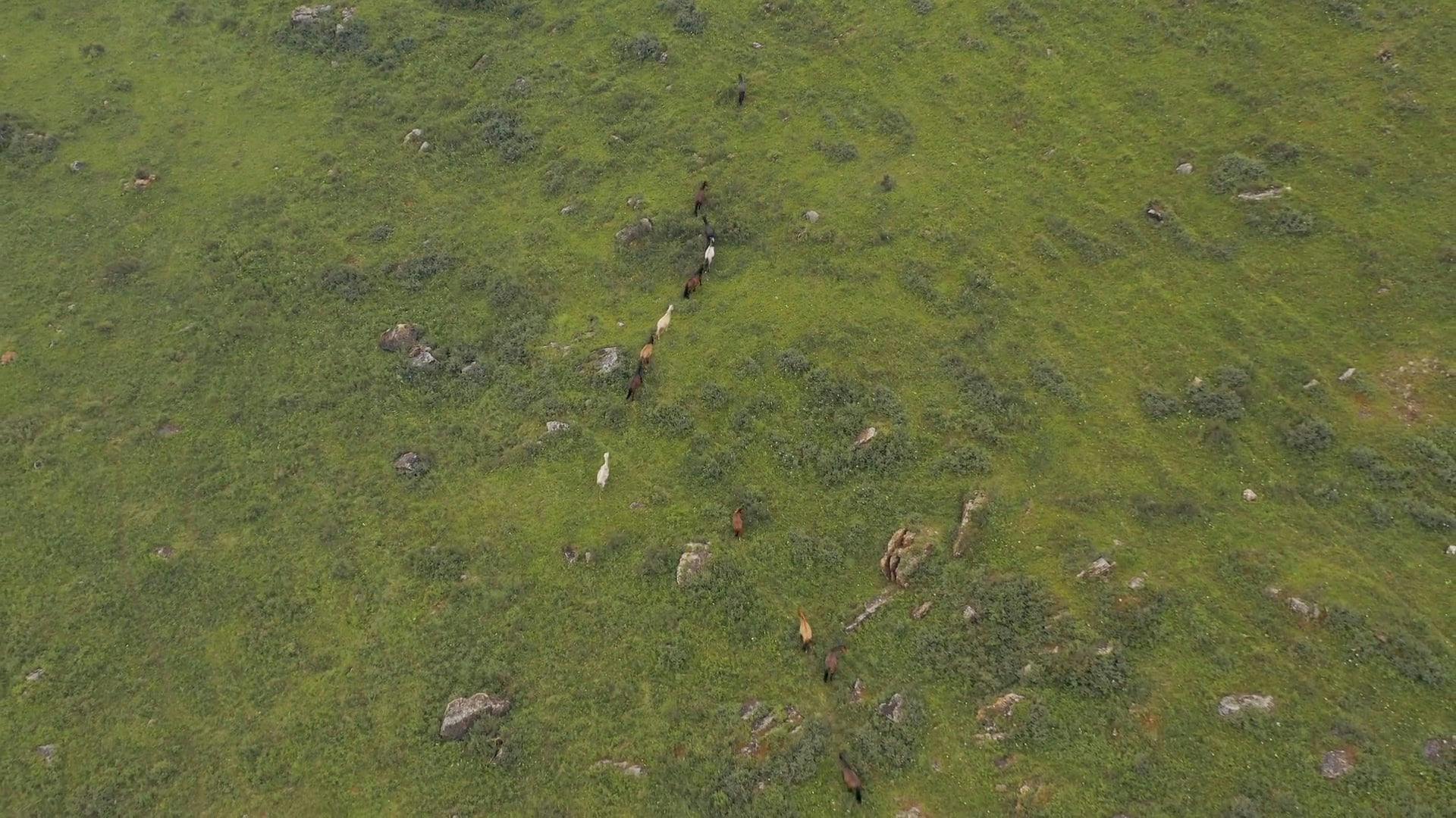 Orbit Shot Videos, Download The BEST Free 4k Stock Video Footage ...