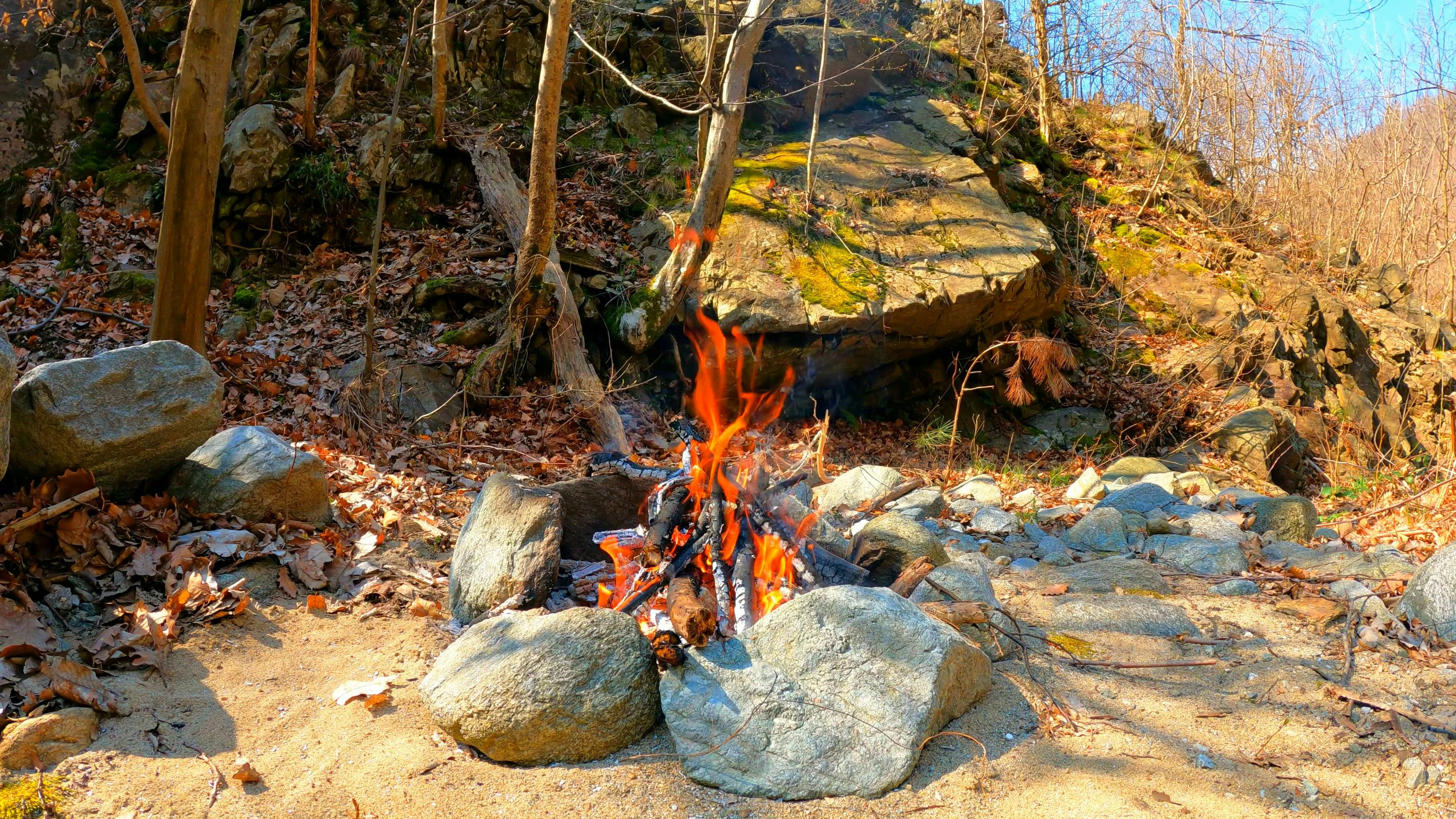Bonfire in the Woods during Daytime Free Stock Video Footage, Royalty ...