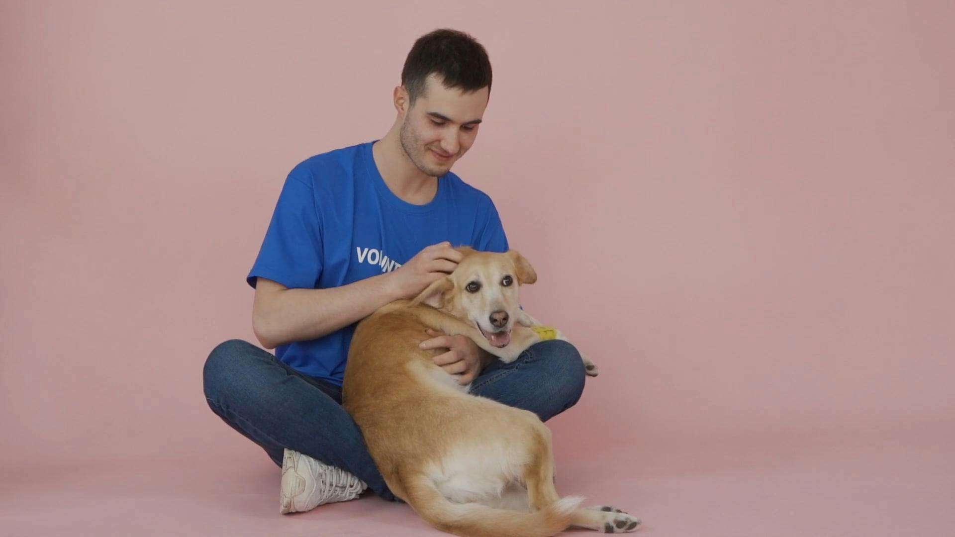Volunteer Caressing A Dog · Free Stock Video
