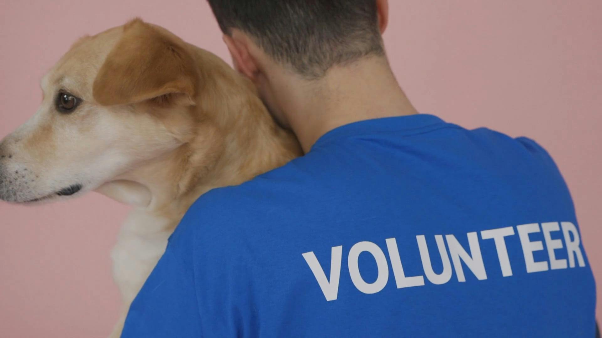 A Man Hugging a Dog · Free Stock Video