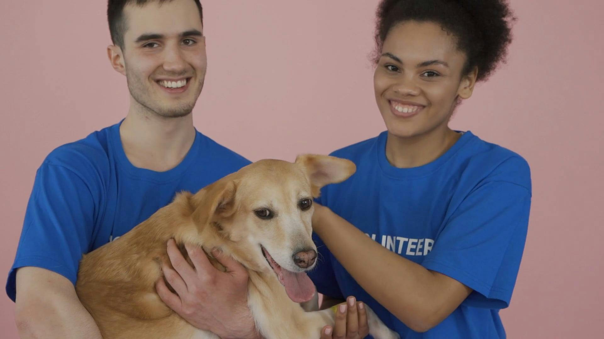 Saving Animals Videos, Download The BEST Free 4k Stock Video Footage ...