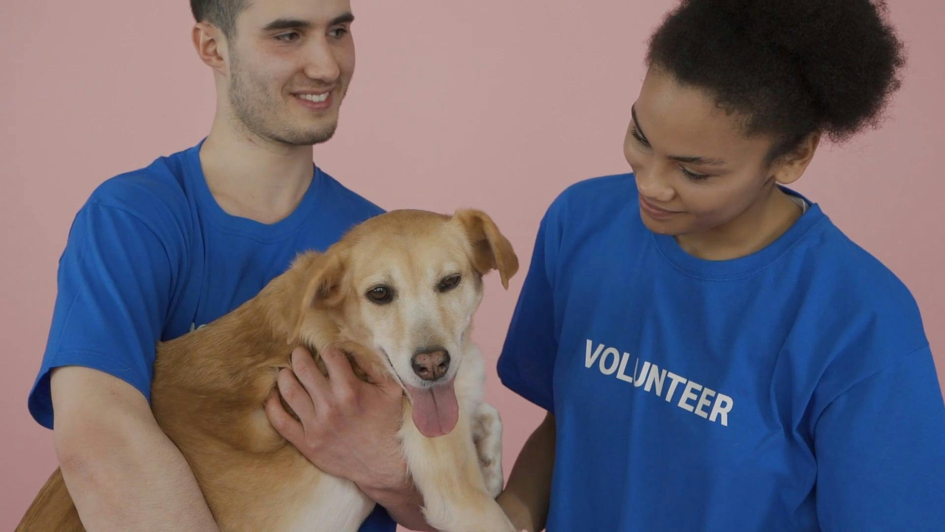 Welfare System Videos, Download The BEST Free 4k Stock Video Footage ...