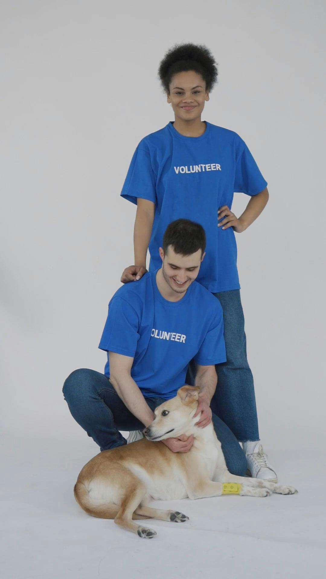 Animals Rescue Team Videos, Download The BEST Free 4k Stock Video ...