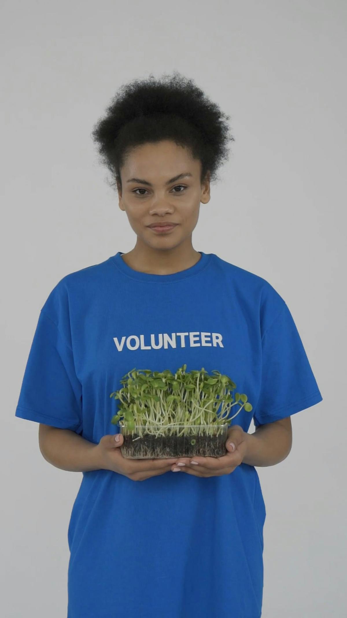 Tree Planting Videos, Download The BEST Free 4k Stock Video Footage ...