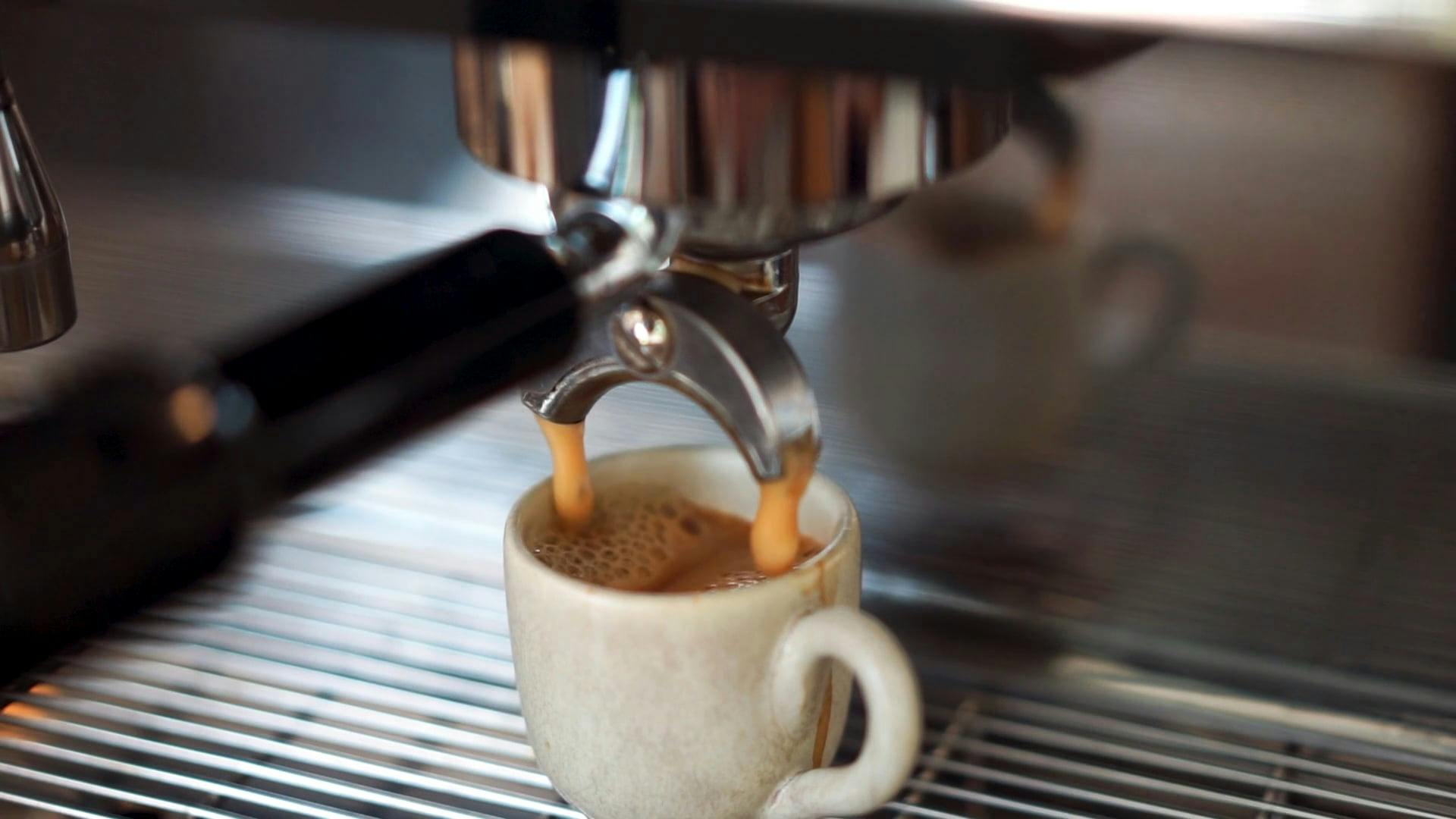 Mexico Coffee Videos, Download The BEST Free 4k Stock Video Footage ...