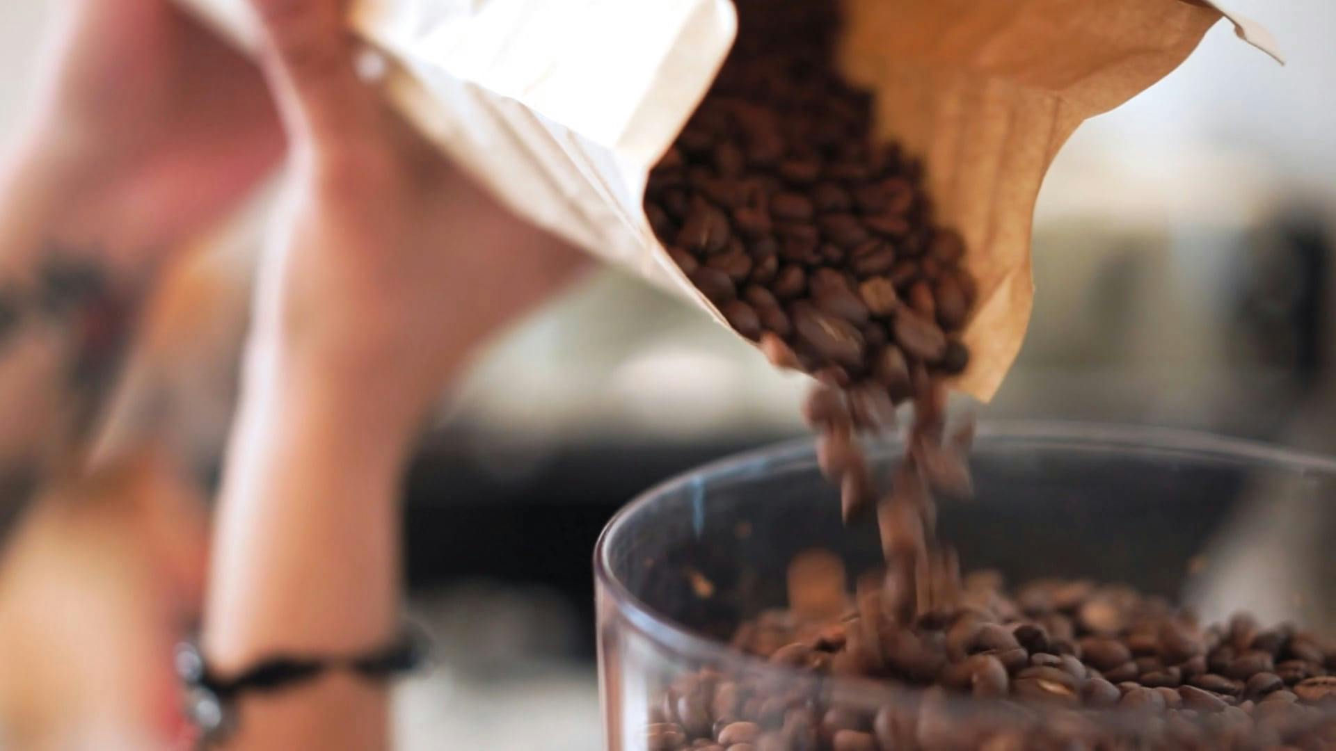 A Female Barista Smelling The Fresh Grind Coffee Beans Free Stock Video ...