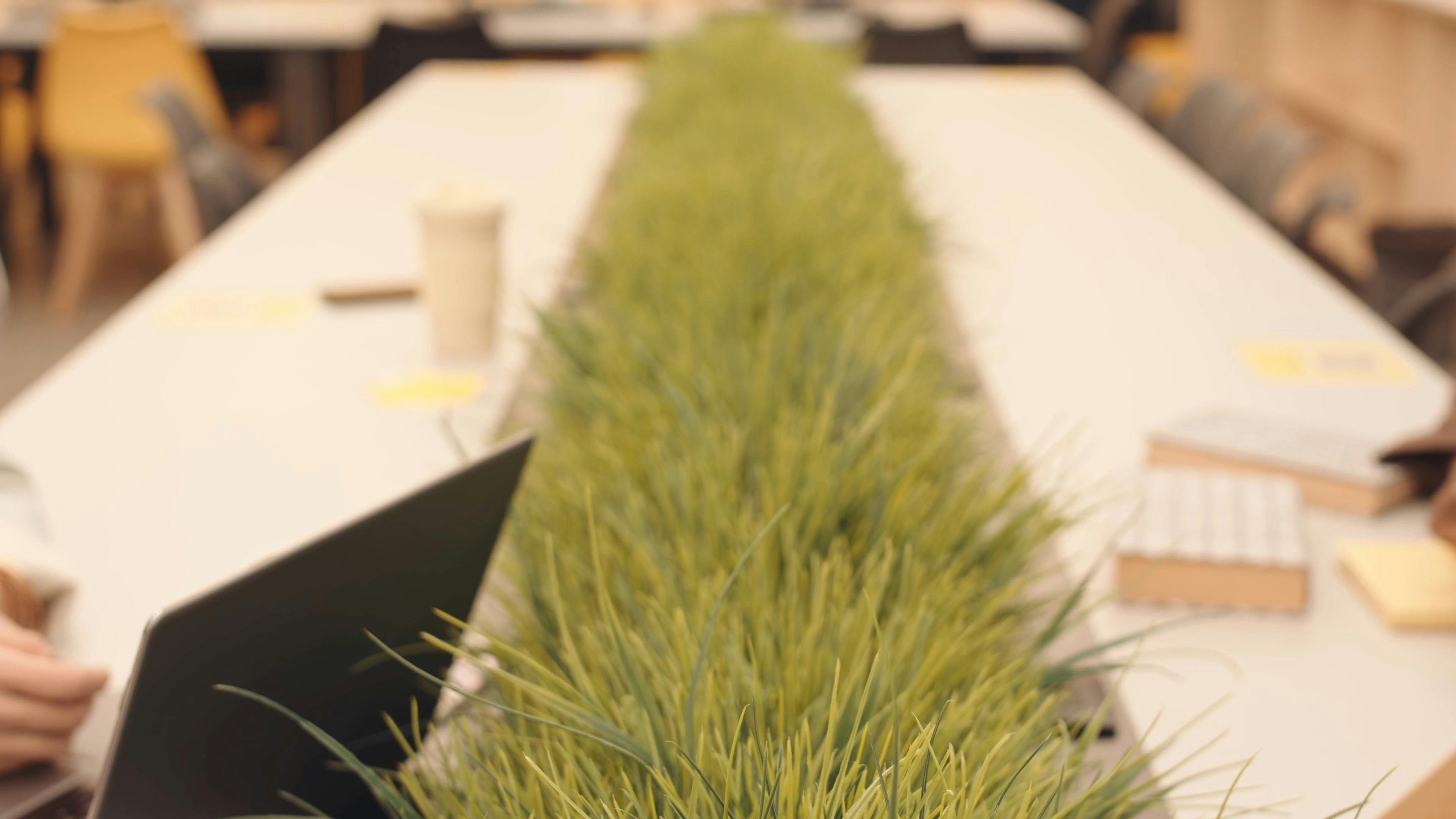 Opportunities For Success Videos, Download The BEST Free 4k Stock Video ...