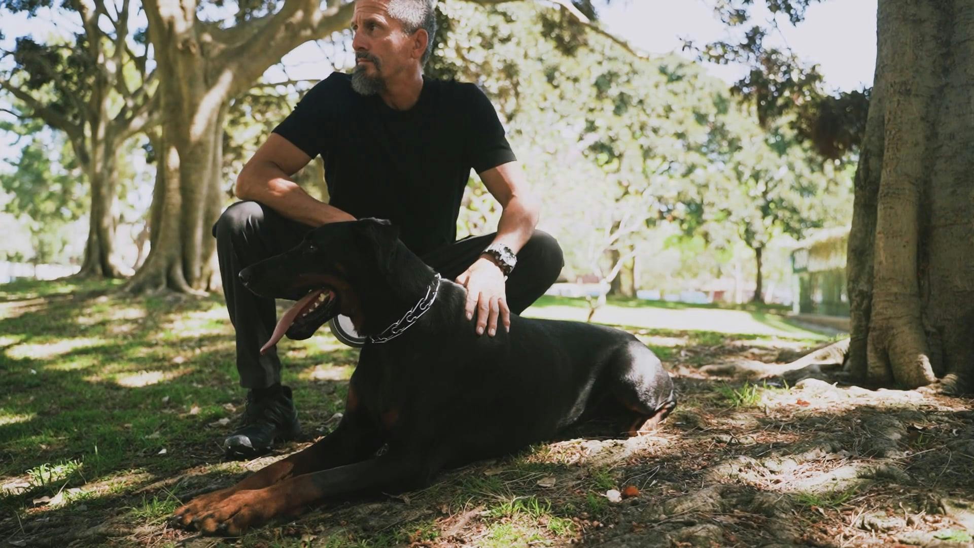 A man With a Dog Outdoor · Free Stock Video