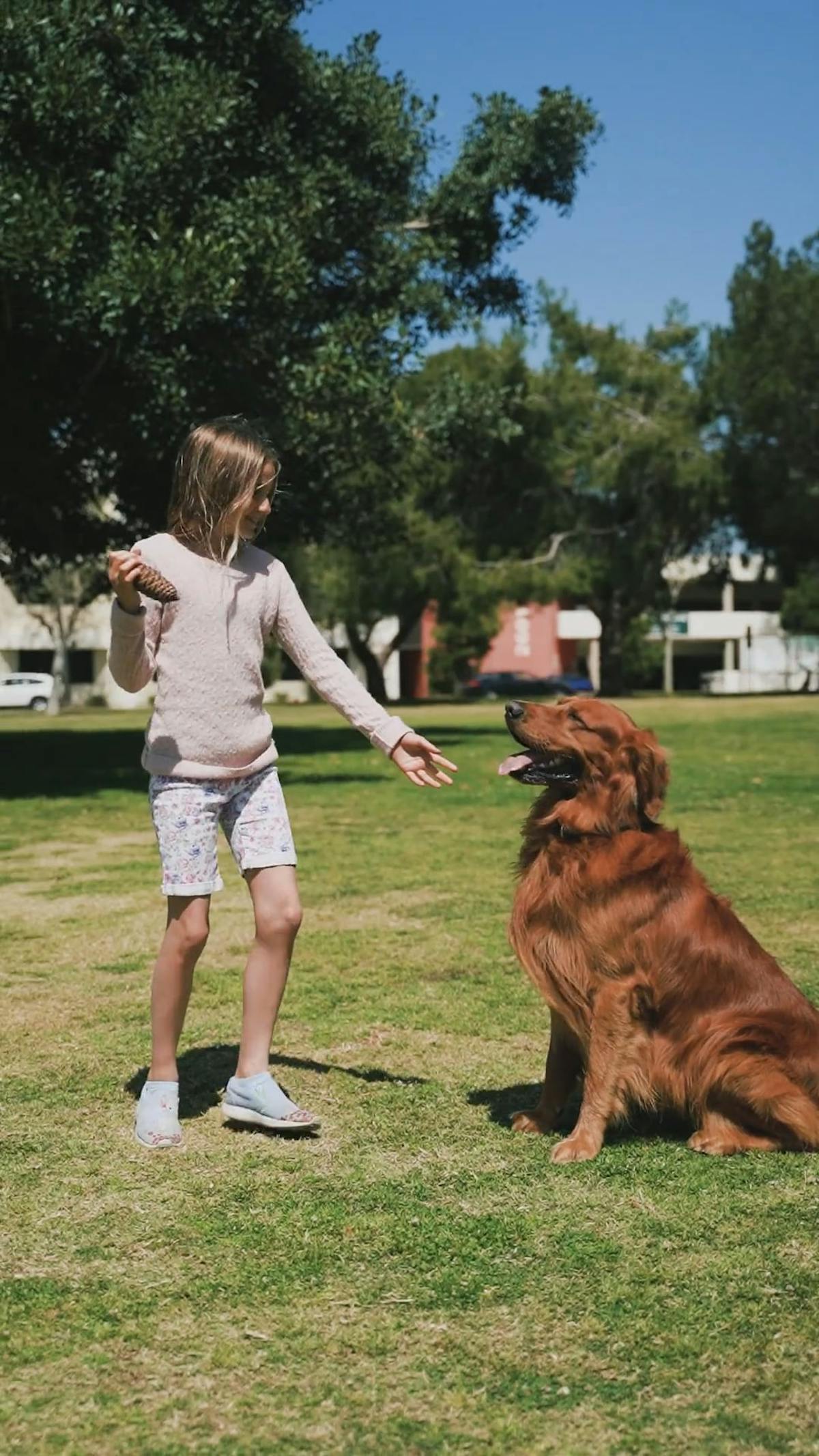 K9 Dog Videos, Download The BEST Free 4k Stock Video Footage & K9 Dog ...