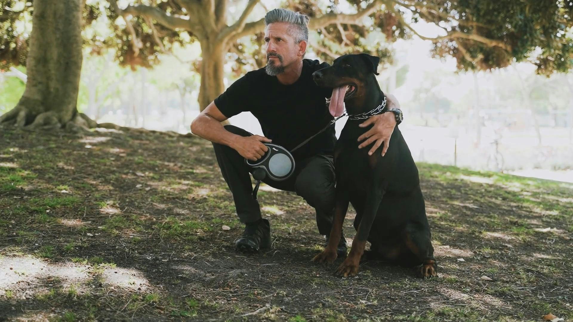 Handler Protection Videos, Download The BEST Free 4k Stock Video ...