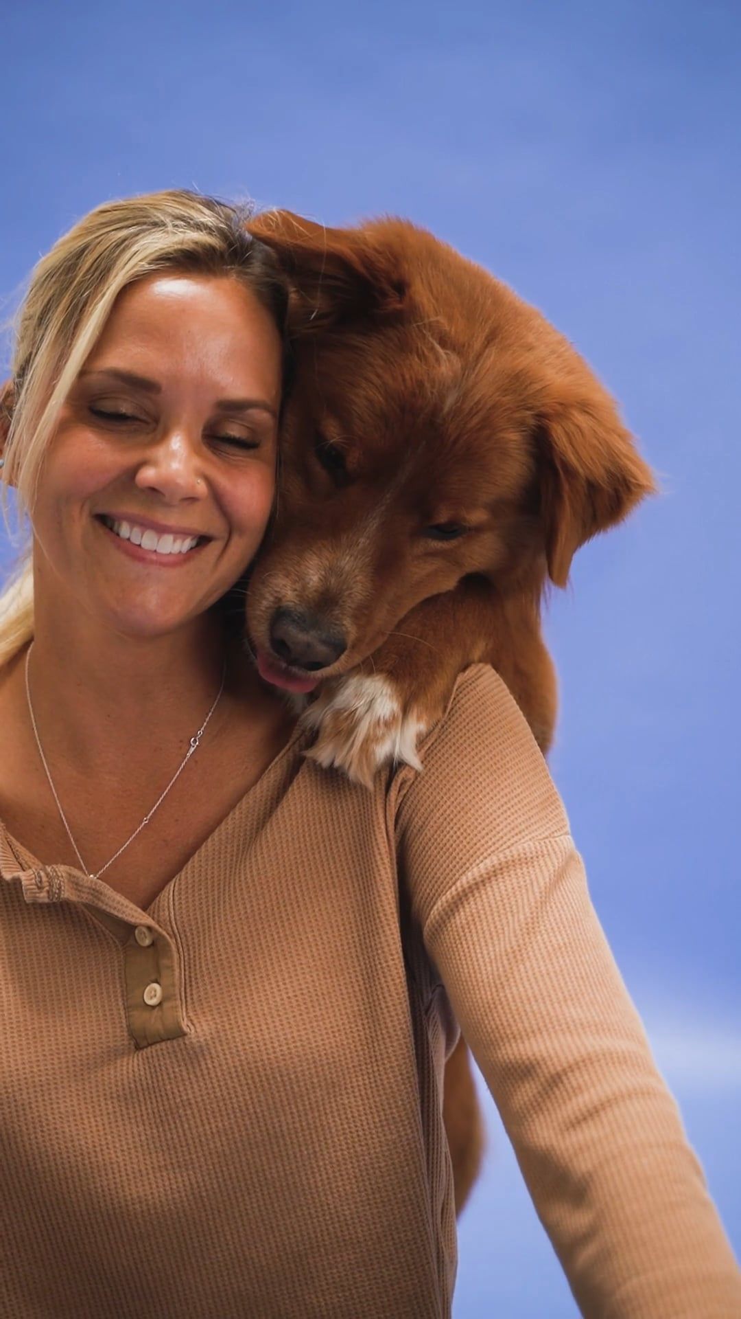 A Dog Sitting Free Stock Video Footage Royalty Free 4K HD Video Clip