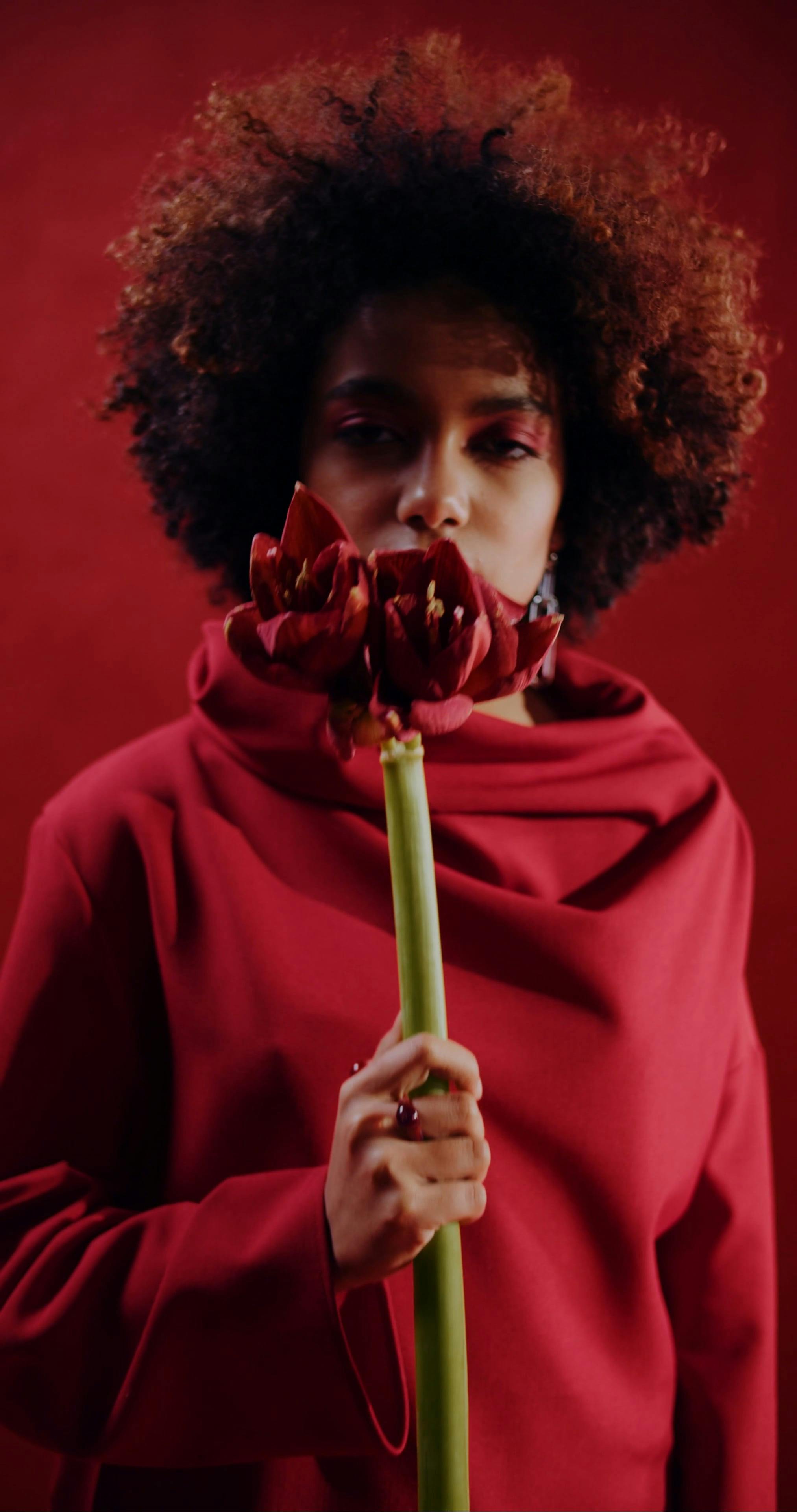 Dark Red Videos, Download The BEST Free 4k Stock Video Footage & Dark ...