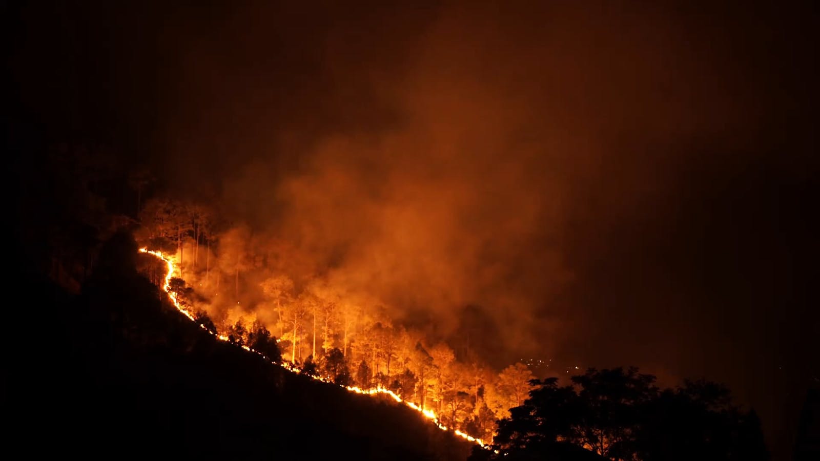 Wildfire Videos, Download The BEST Free 4k Stock Video Footage ...