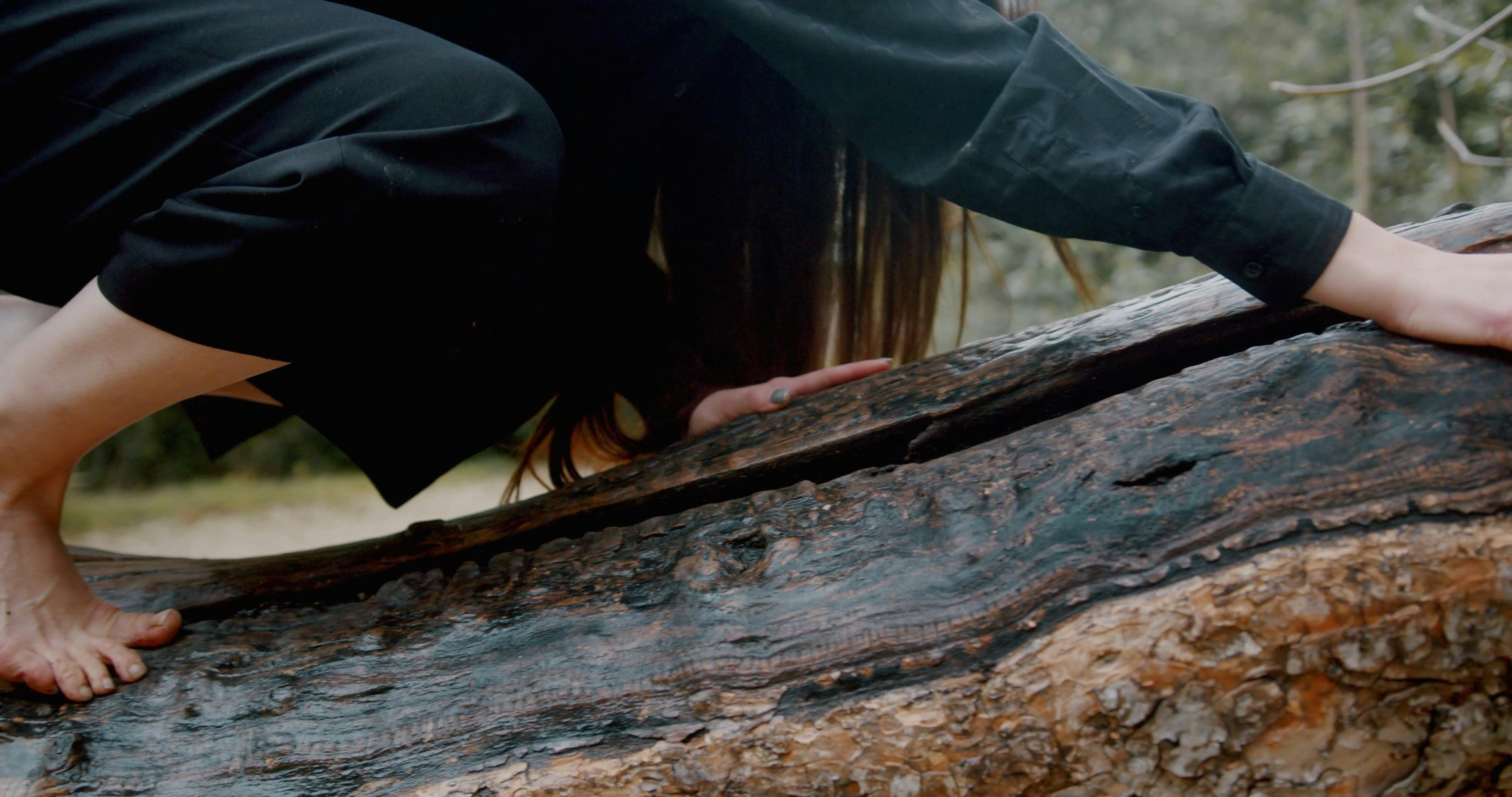 Close-up Footage of a Person Crawling on a Tree Log Free Stock Video ...