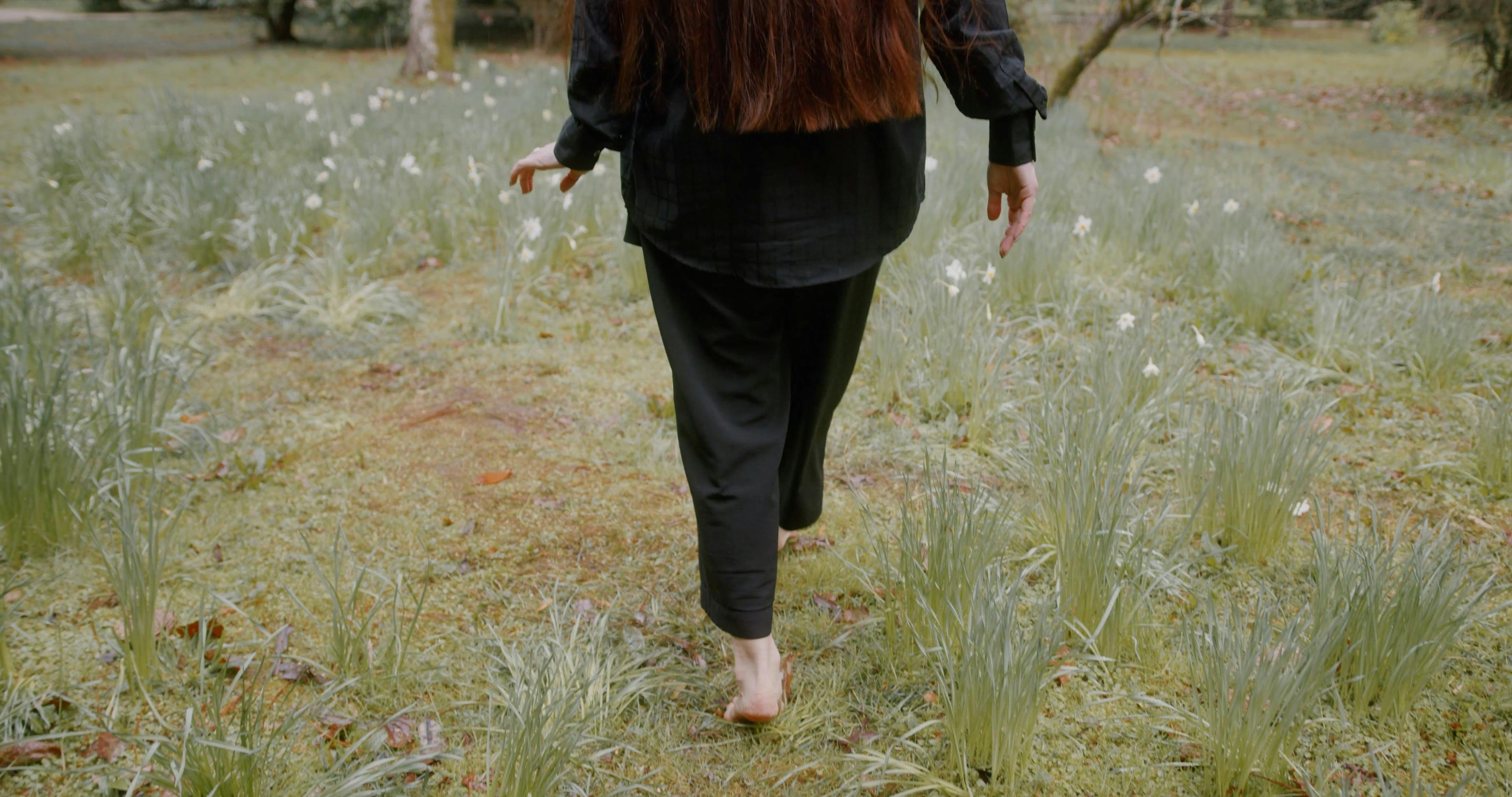 A Woman Walking on the Flower Field Free Stock Video Footage, Royalty ...