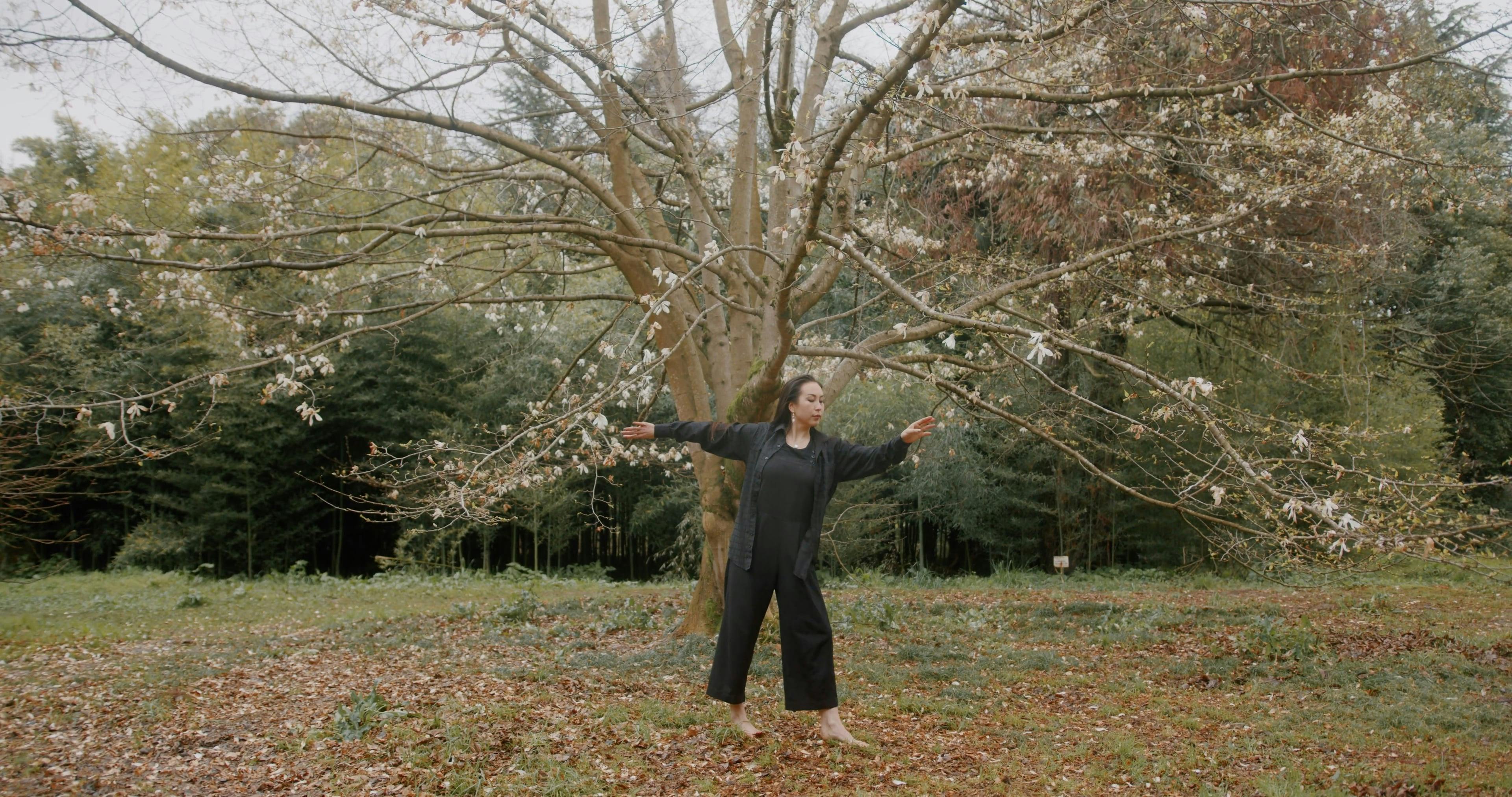 A Woman Doing Contemporary Dance in a Forest · Free Stock Video