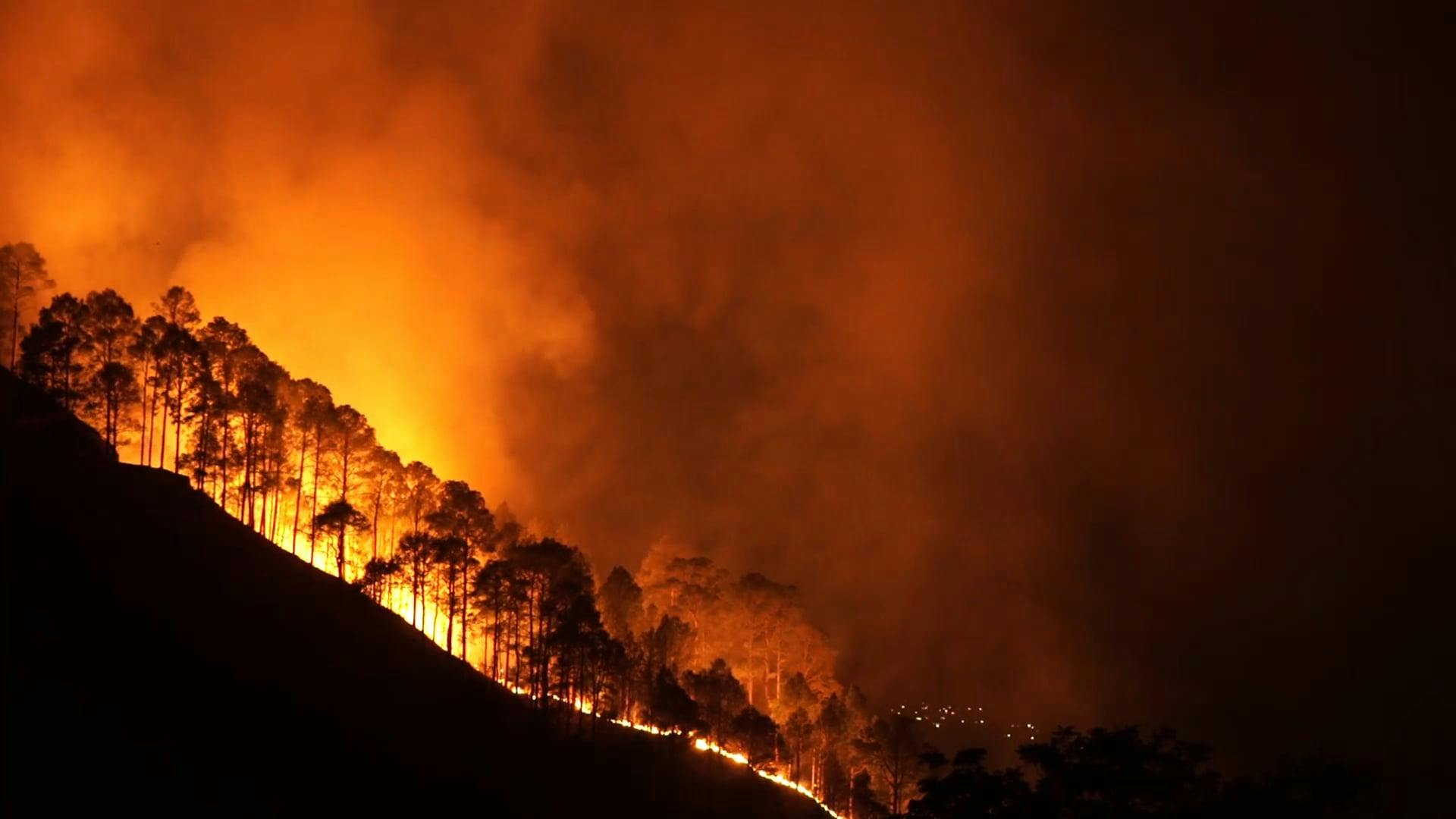 Wildfire on the Mountain Free Stock Video Footage, Royalty-Free 4K & HD ...