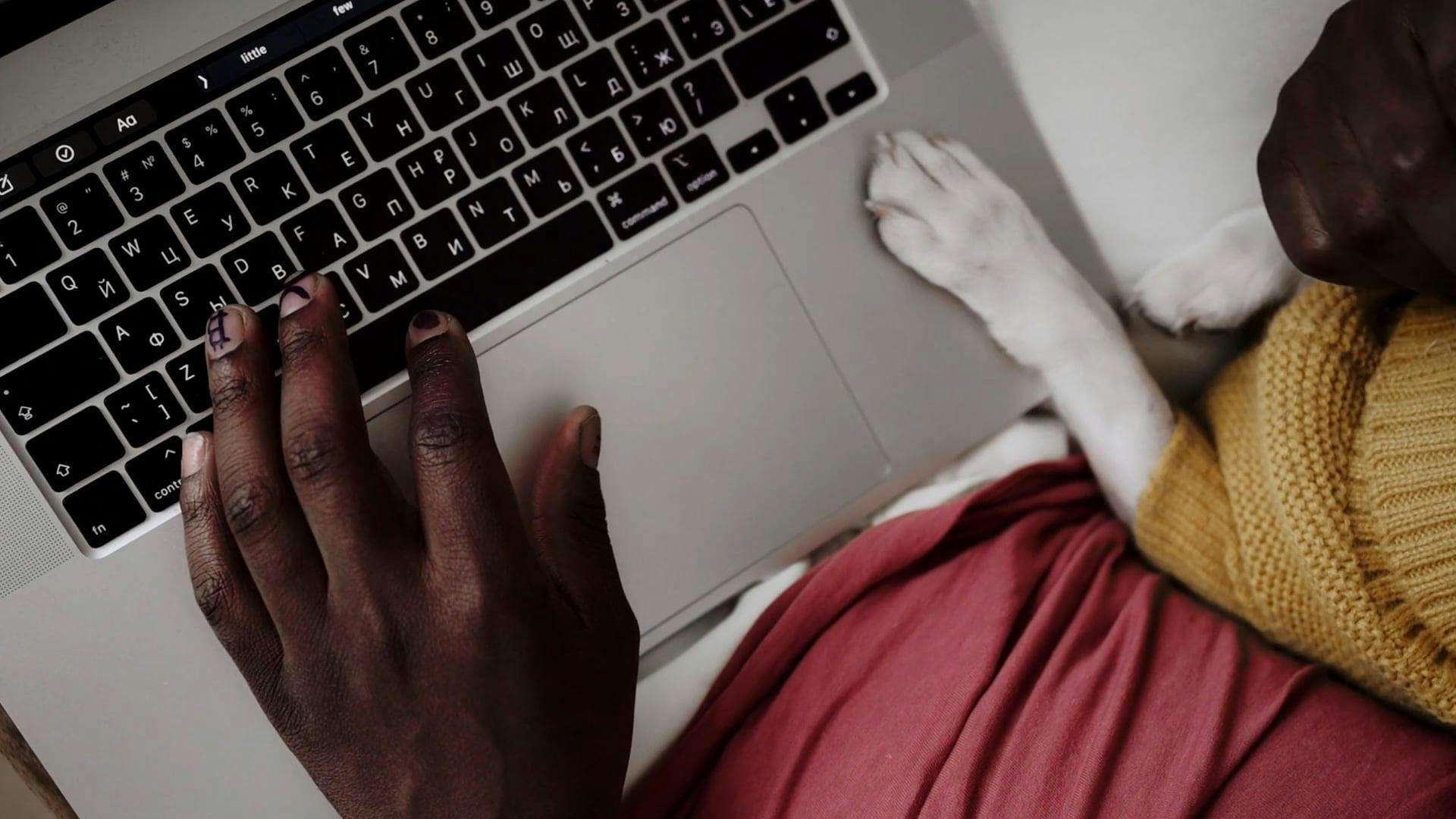 A Person Typing on a Laptop · Free Stock Video