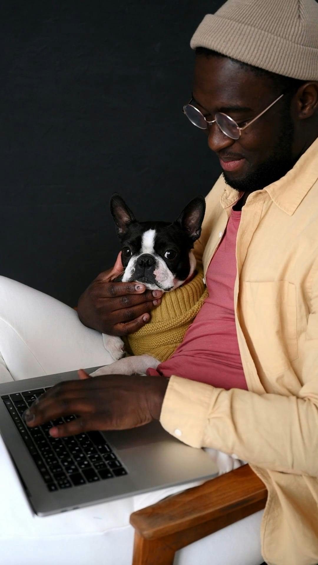 Shock Dog Videos, Download The BEST Free 4k Stock Video Footage & Shock ...