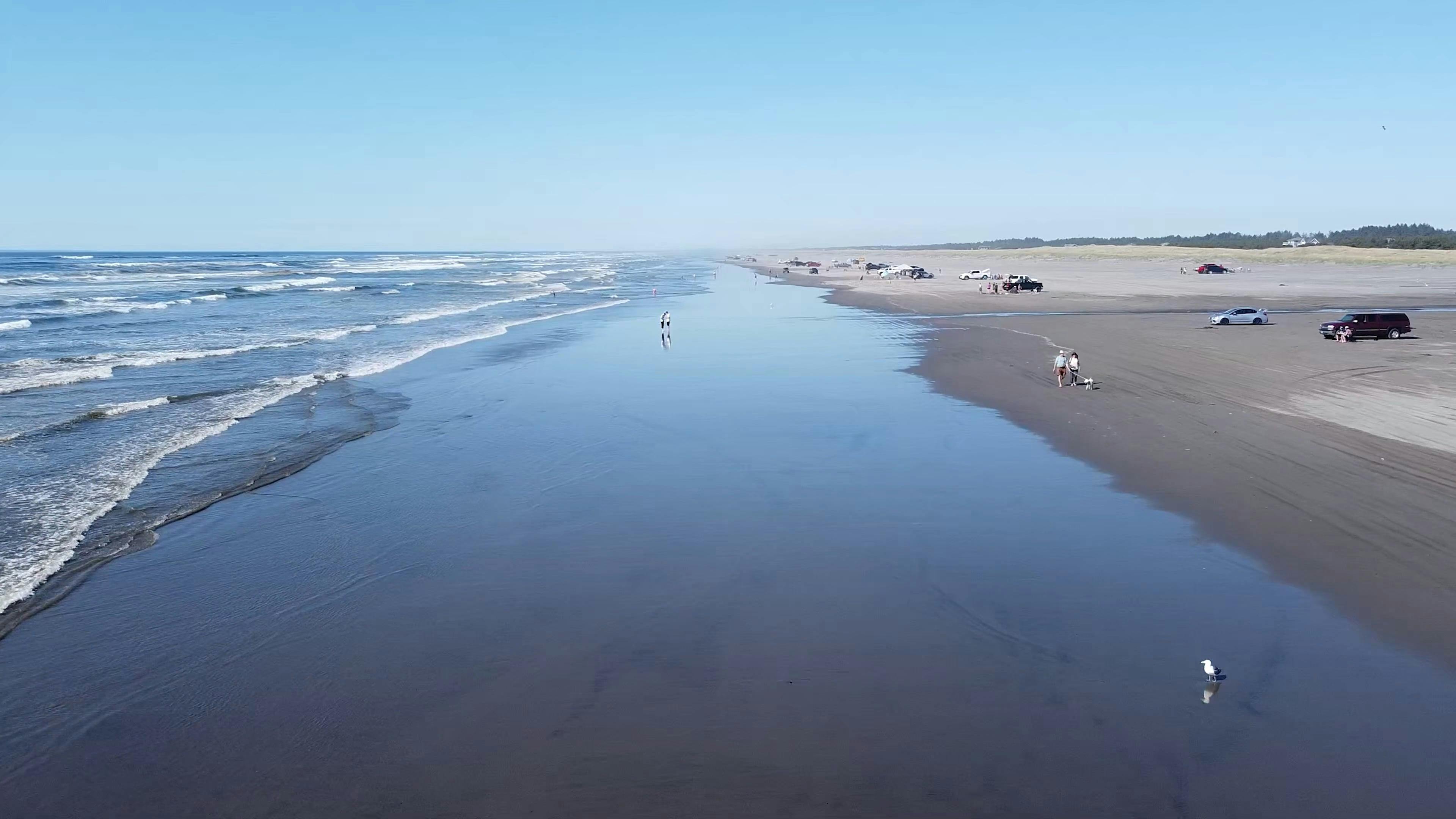 Washington Dc Beach Videos, Download The BEST Free 4k Stock Video ...