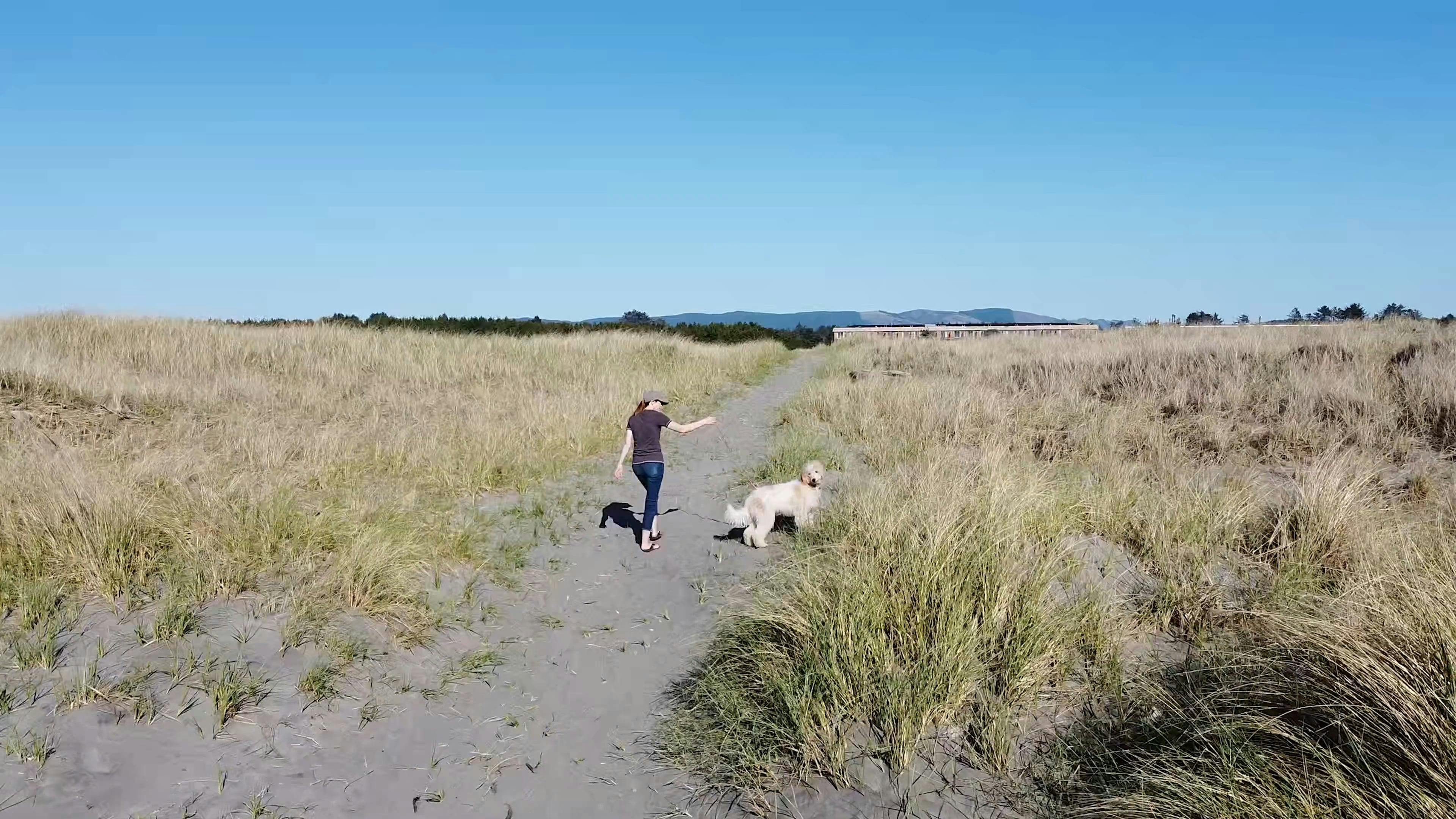Vídeos de stock gratuitos sobre actividad de ocio, al aire libre ...