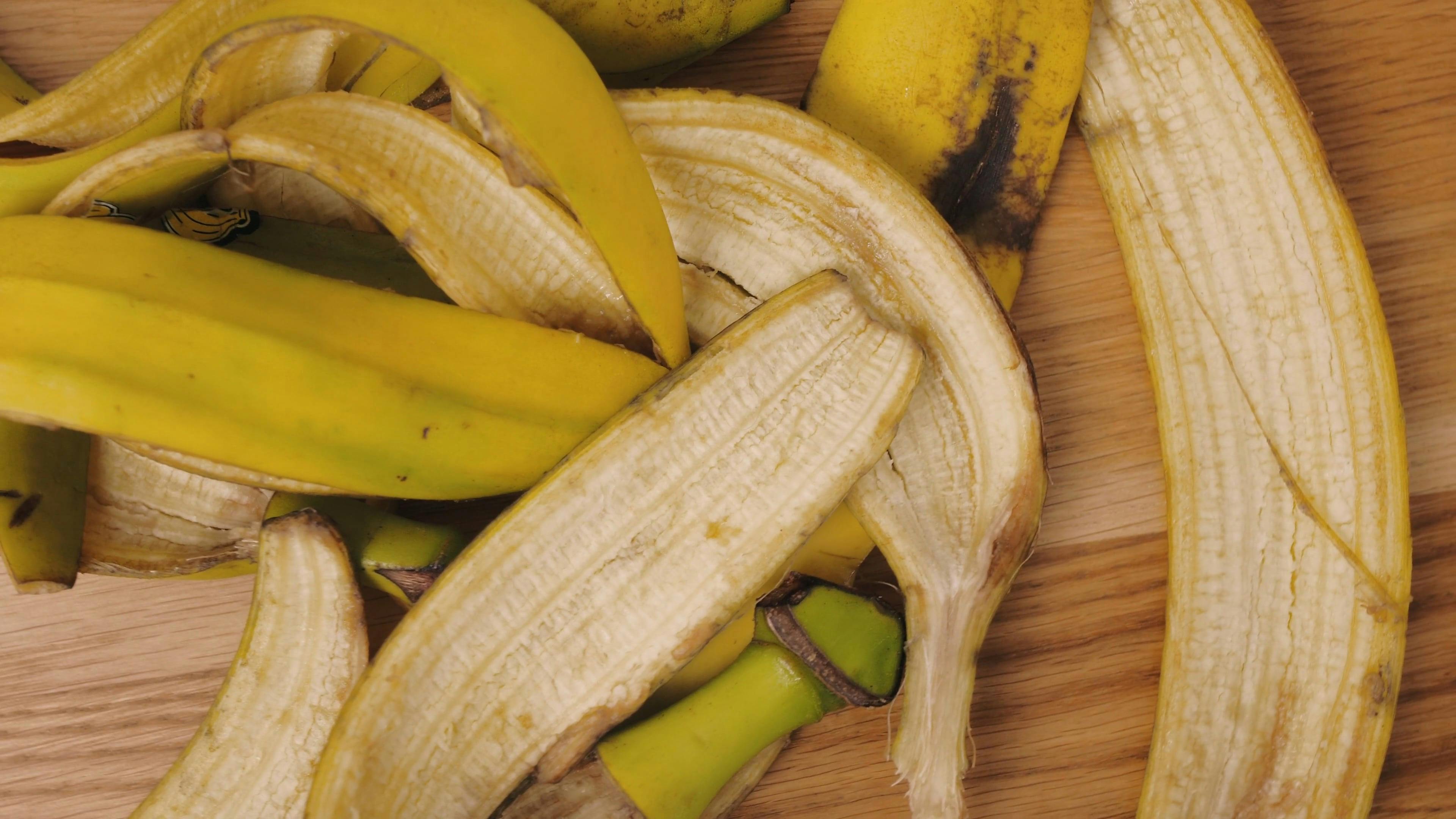 Recycle Food Videos, Download The BEST Free 4k Stock Video Footage ...